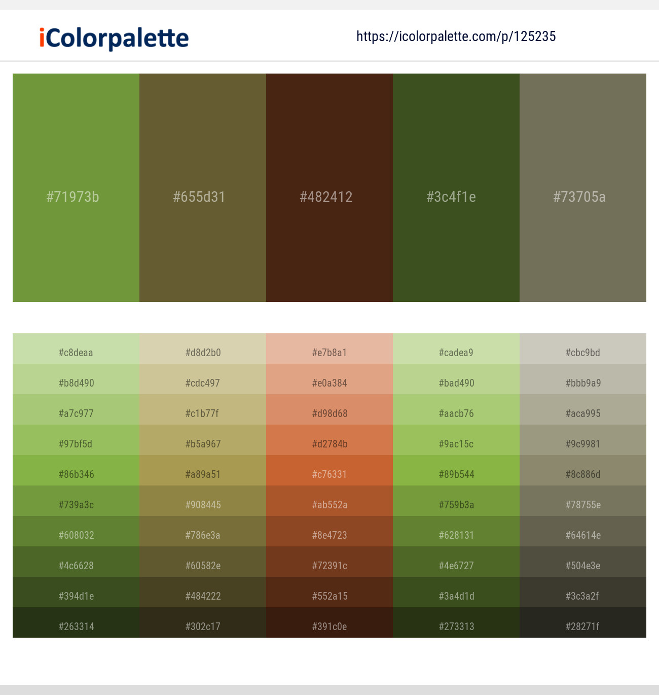 1 Latest Color Schemes with Deep Oak And Crocodile Color tone ...