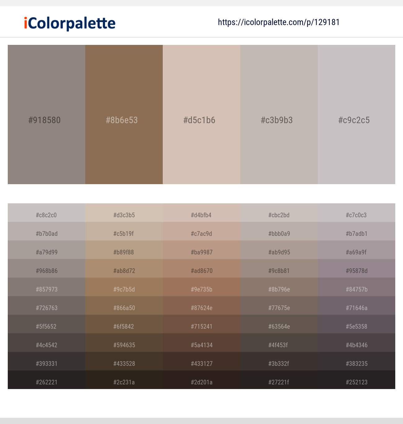 2 Latest Color Schemes with Shadow And Clam Shell Color tone ...