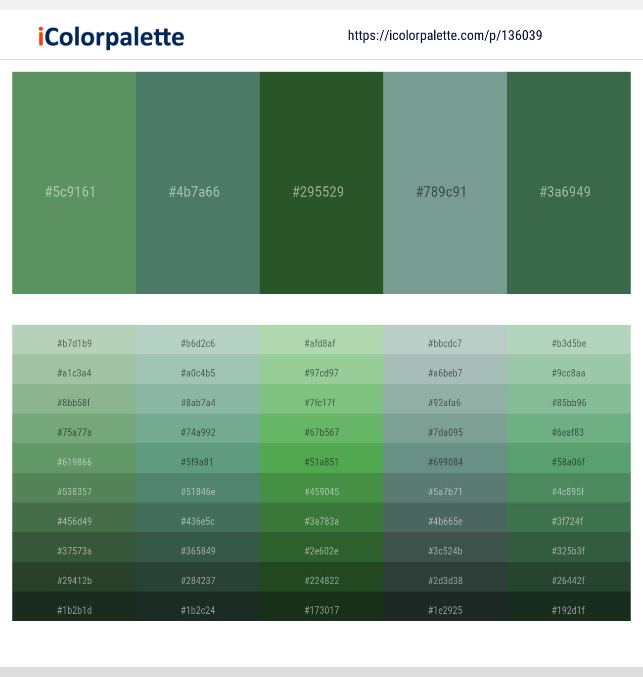 1+ Everglade And Sea Nymph Color Palettes & Gradient Ideas | iColorPalette