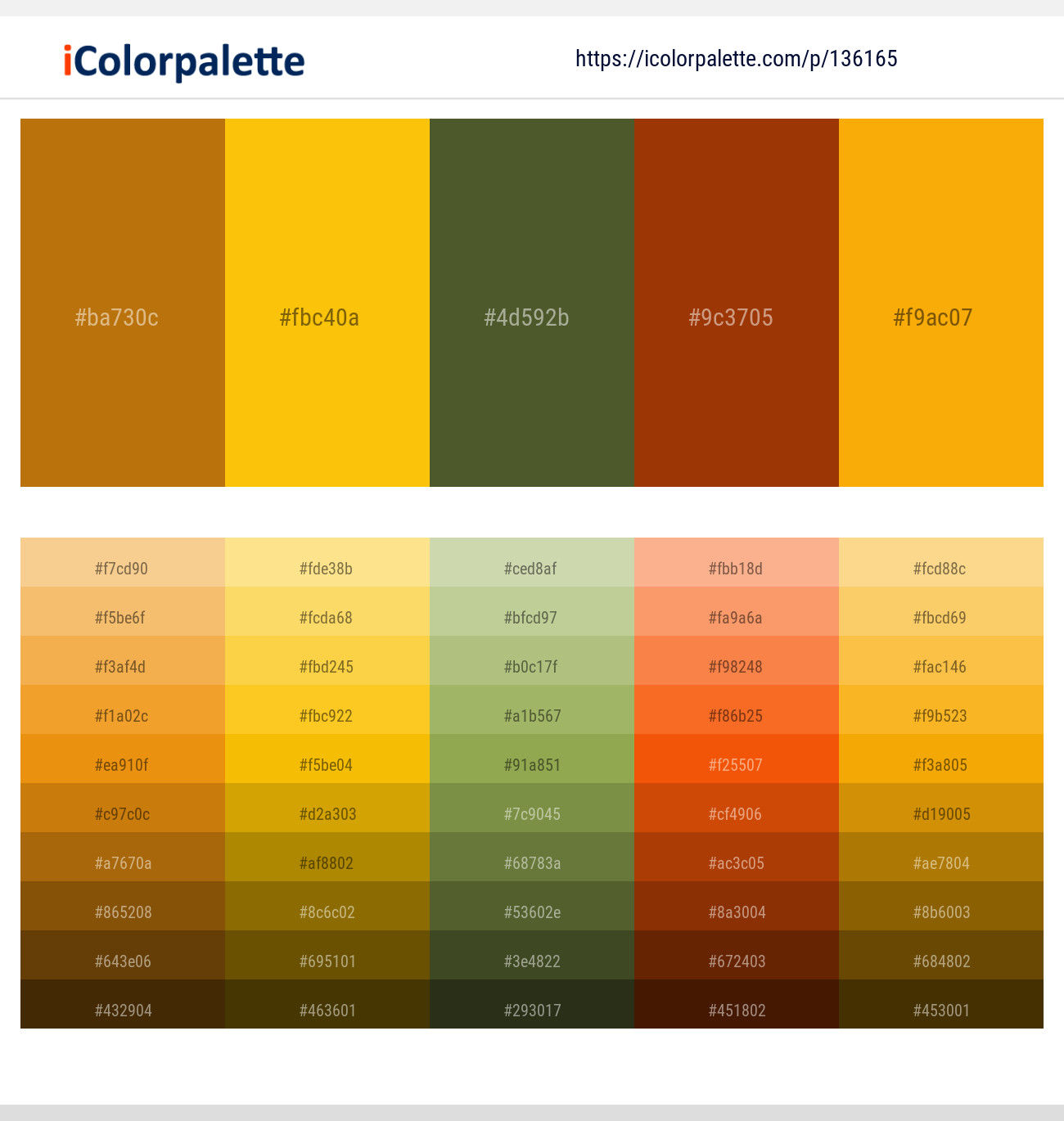 Pumpkin Skin – Supernova – Woodland – Oregon – Yellow Sea Color scheme ...