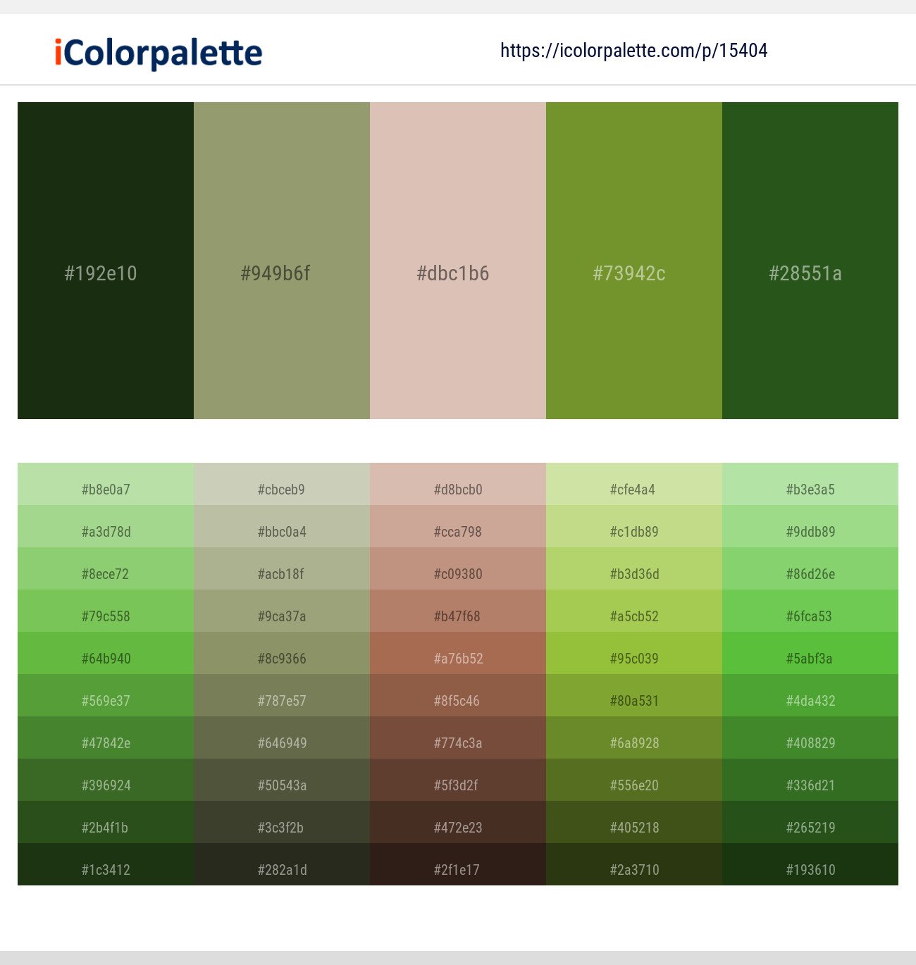 1 Latest Color Schemes with Clam Shell And Parsley Color tone ...