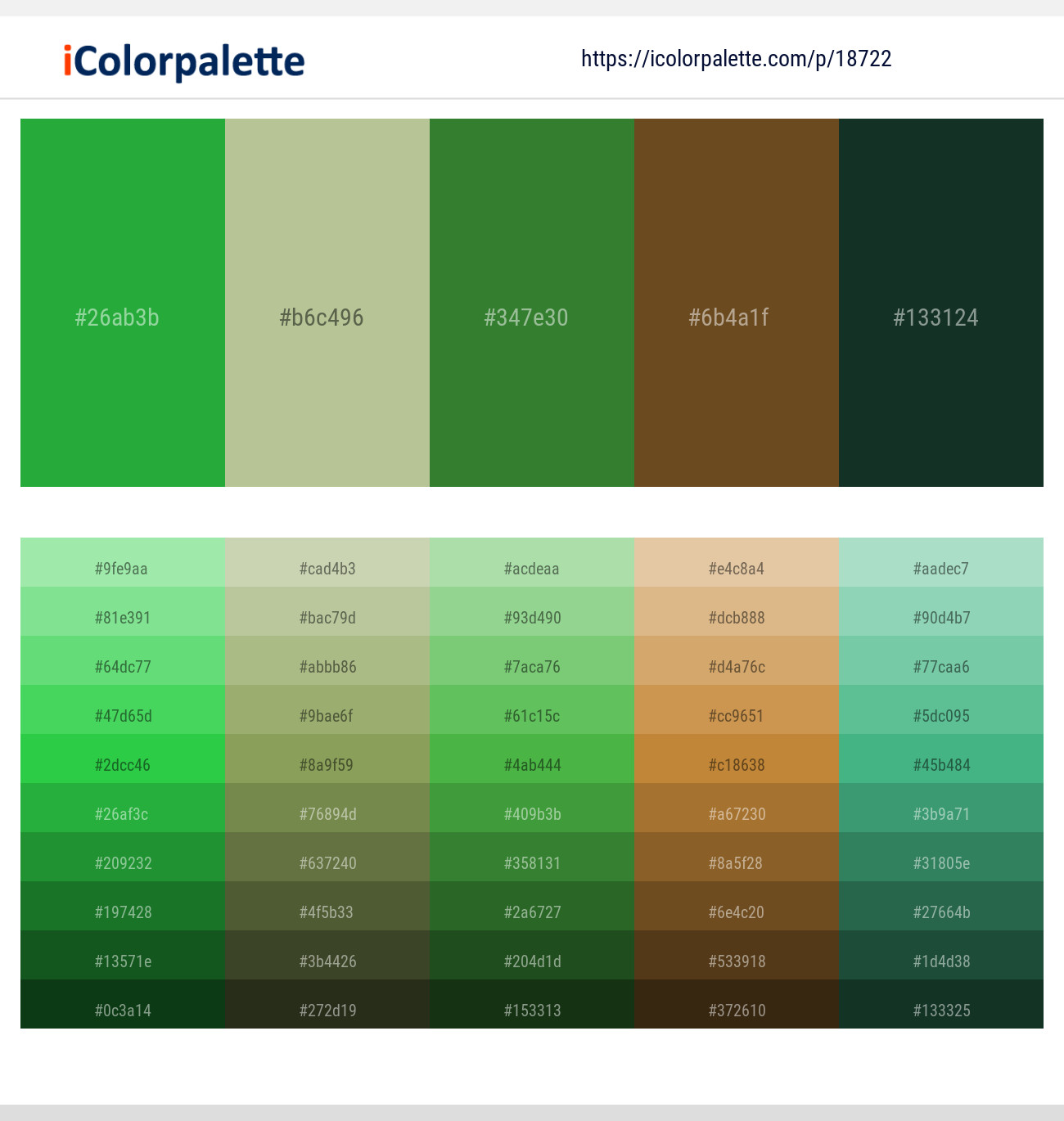 1 Latest Color Schemes with Sea Green And Celtic Color tone ...
