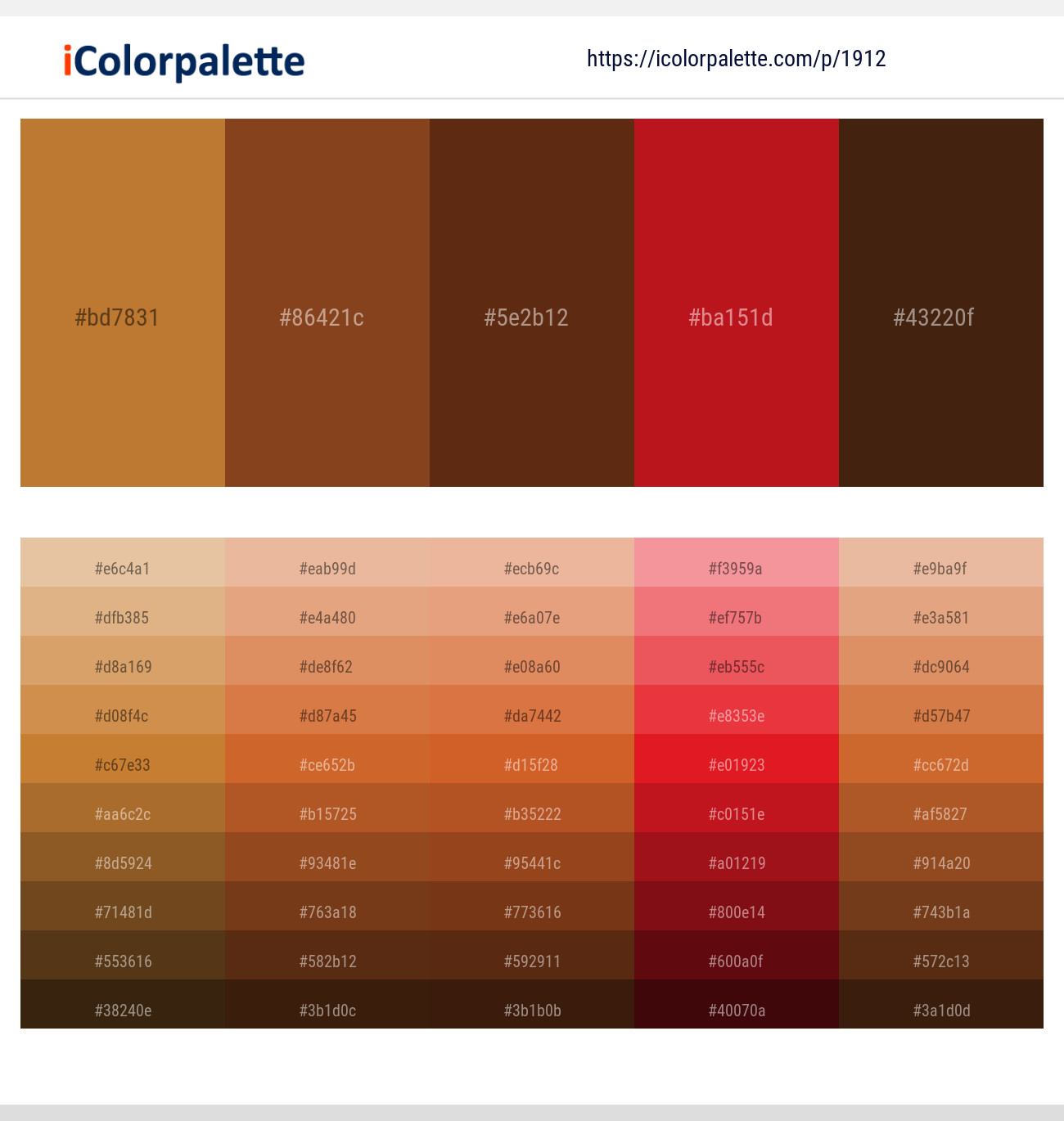 3+ Copper And Deep Oak Color Palettes & Gradient Ideas | iColorPalette