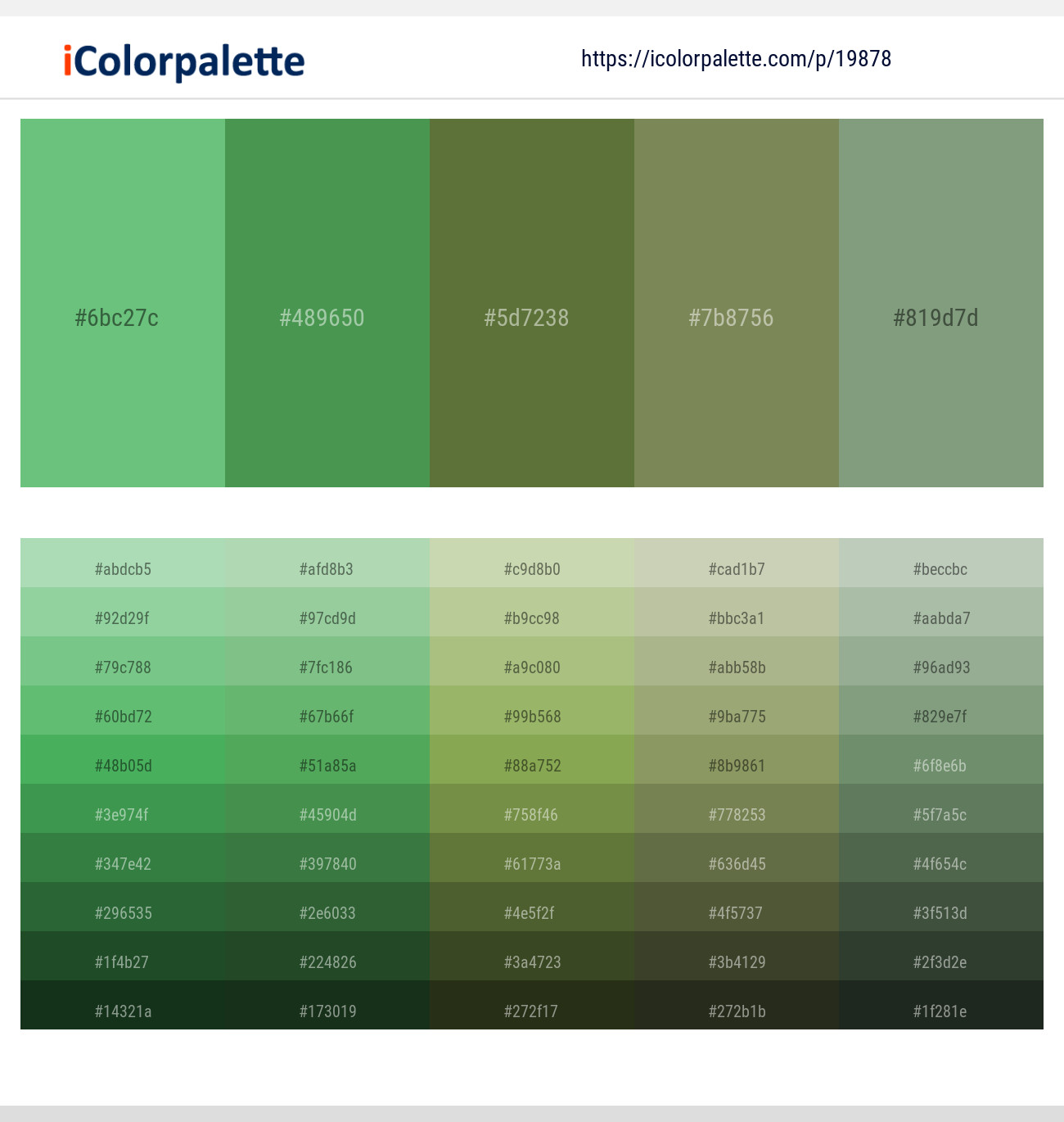 460+ Latest Color Schemes with Amulet Color tone combinations | 2023 ...