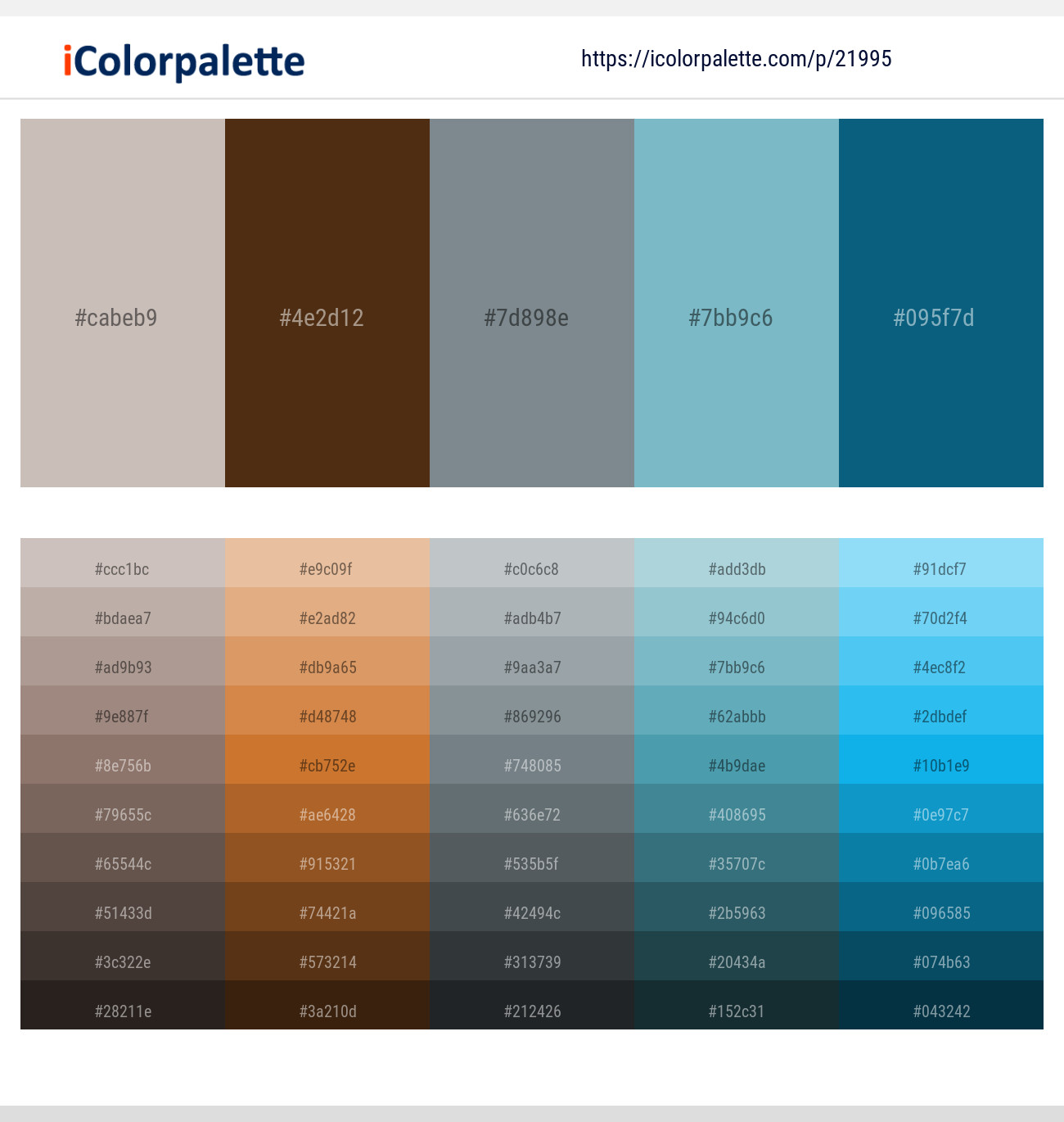 40+ Silver And Teal Color Palettes & Gradient Ideas | iColorPalette