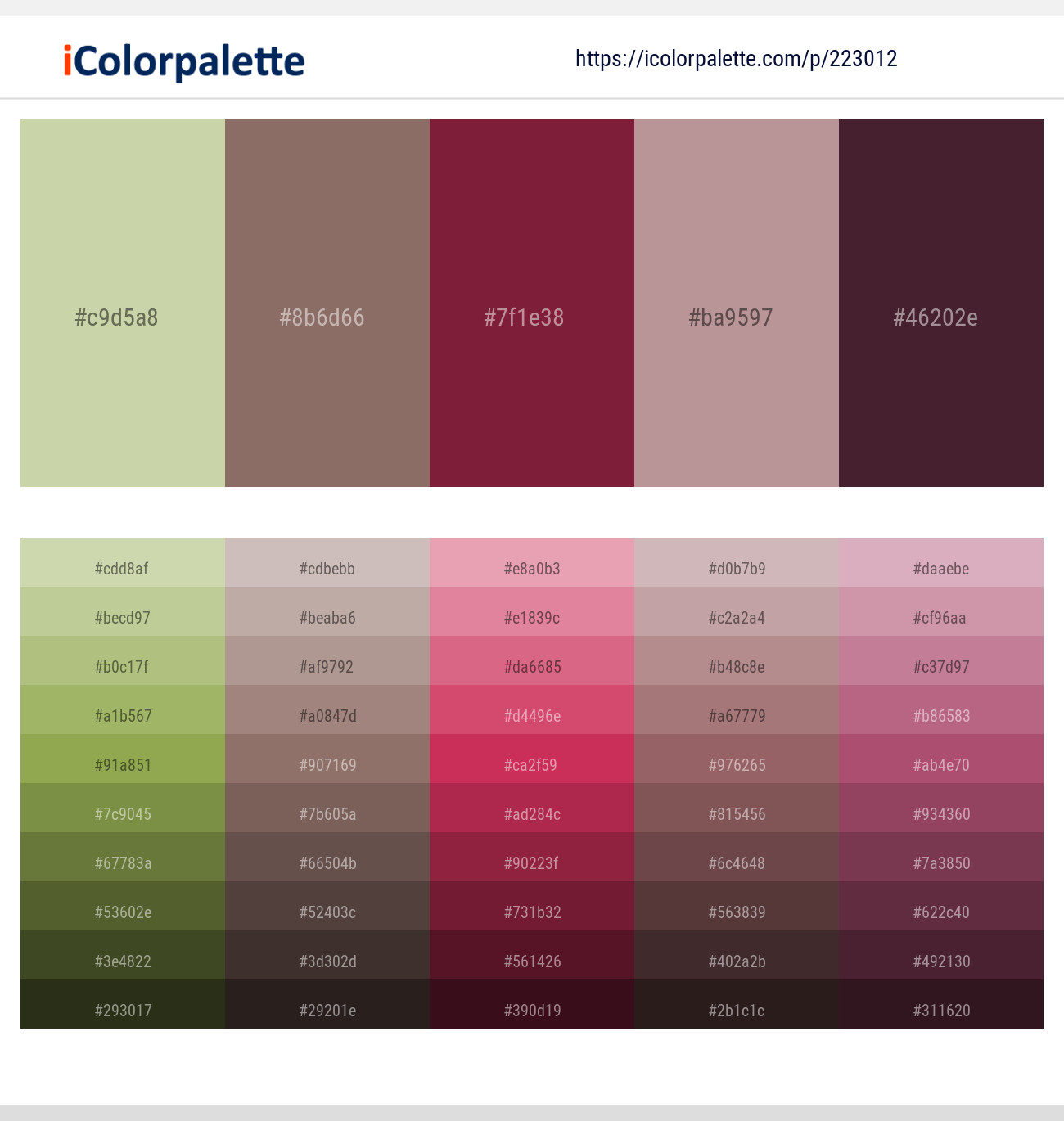 490+ Latest Color Schemes with Sprout Color tone combinations | 2022 ...