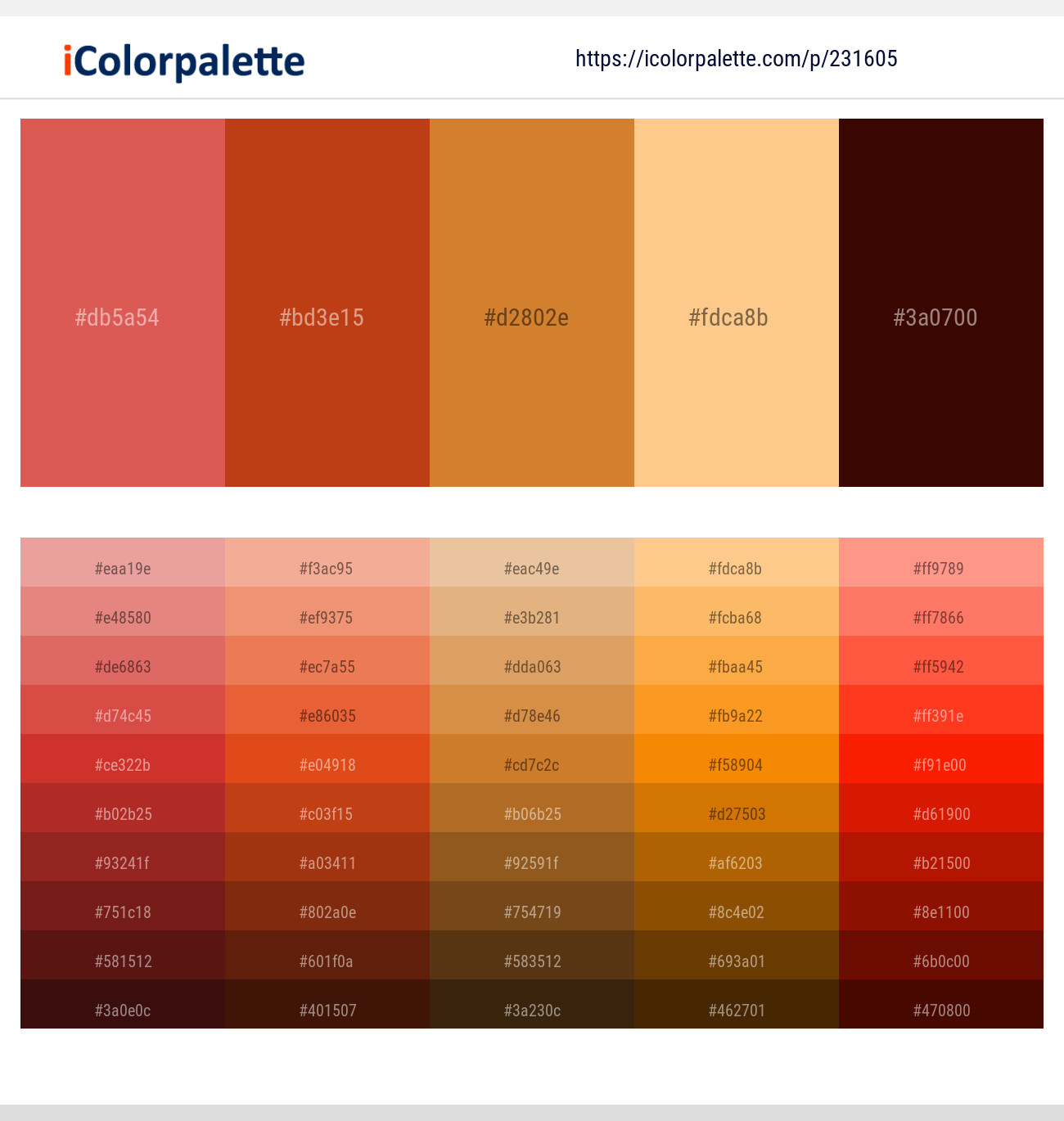Roman – Thunderbird – Brandy Punch – Chardonnay – Temptress Color ...