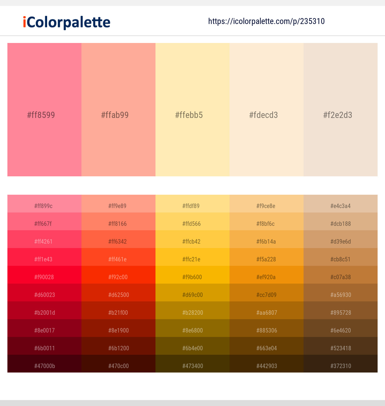 76+ Peach Color Palettes & Gradient Ideas | iColorPalette