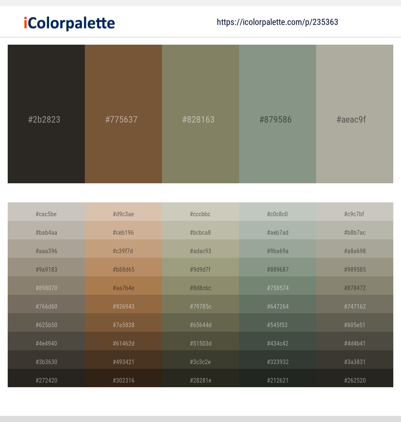510+ Latest Color Schemes with Toffee Color tone combinations | 2025 ...
