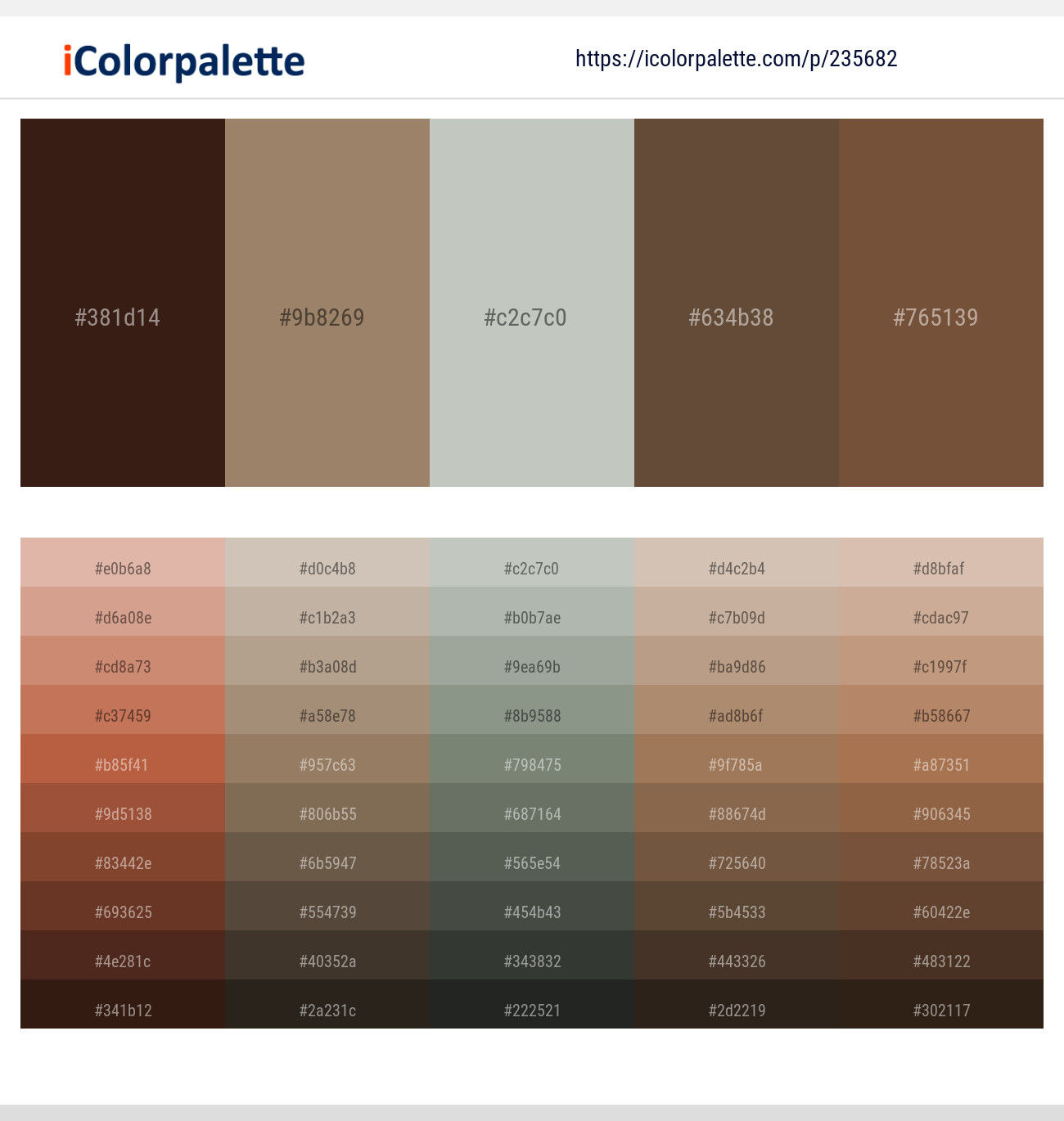 510+ Latest Color Schemes with Toffee Color tone combinations | 2024 ...