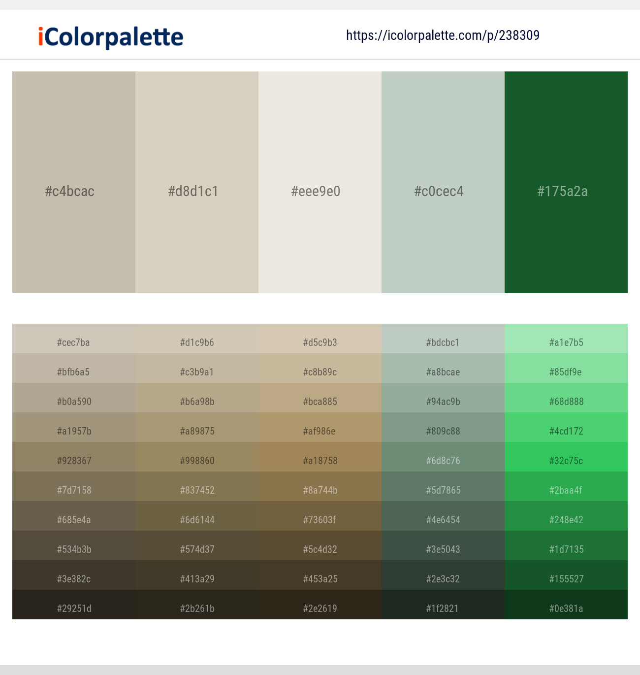 Bison Hide – Sisal – Pearl Bush – Powder Ash – Parsley Color scheme ...