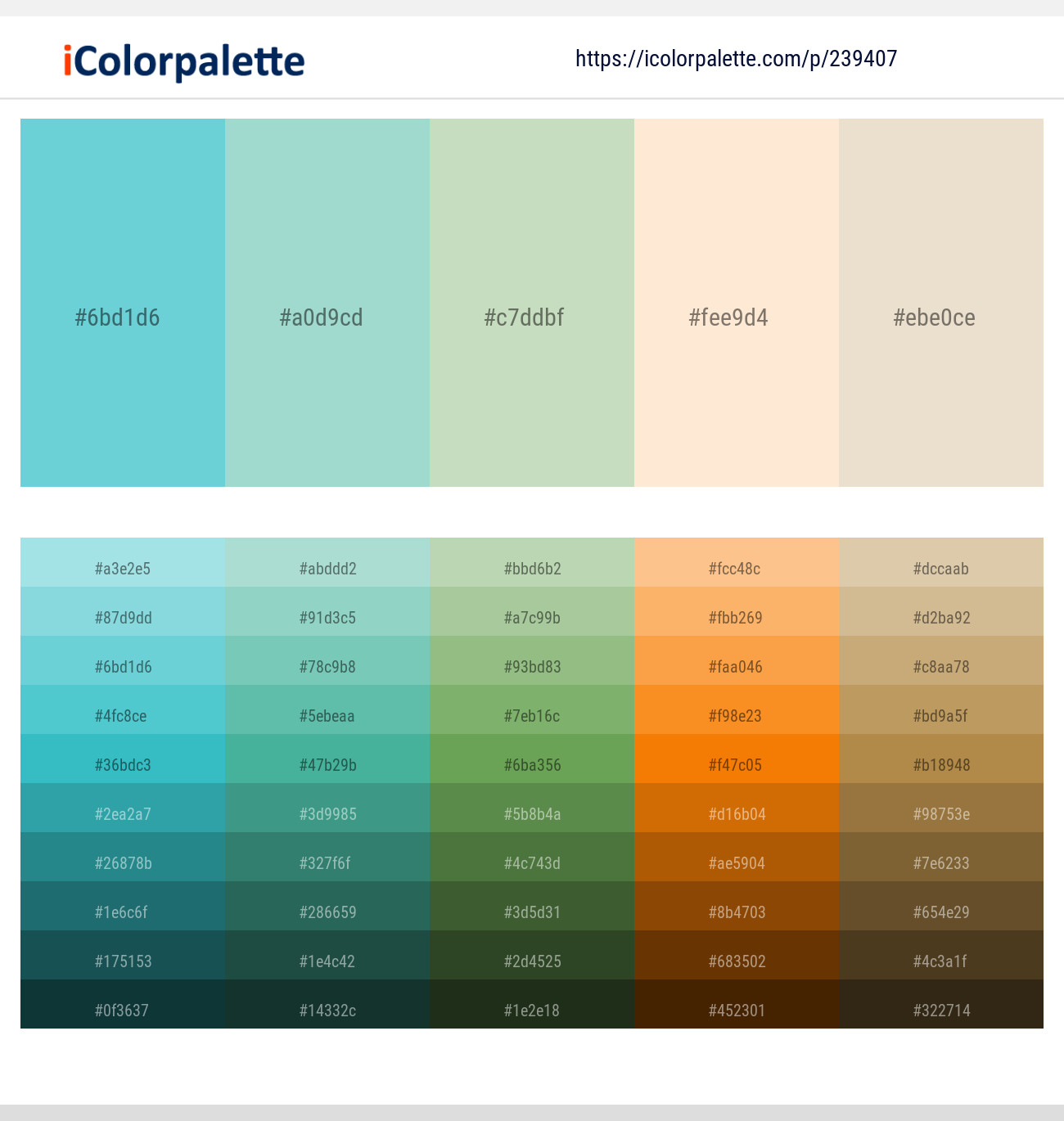 65 Latest Color Schemes with Oasis Color tone combinations | 2025 ...