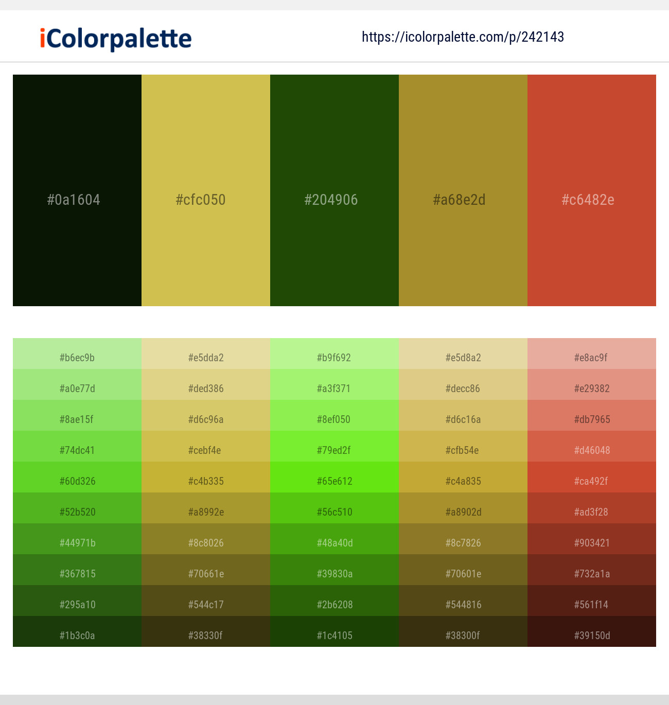 710+ Latest Color Schemes with Turmeric Color tone combinations | 2023 ...