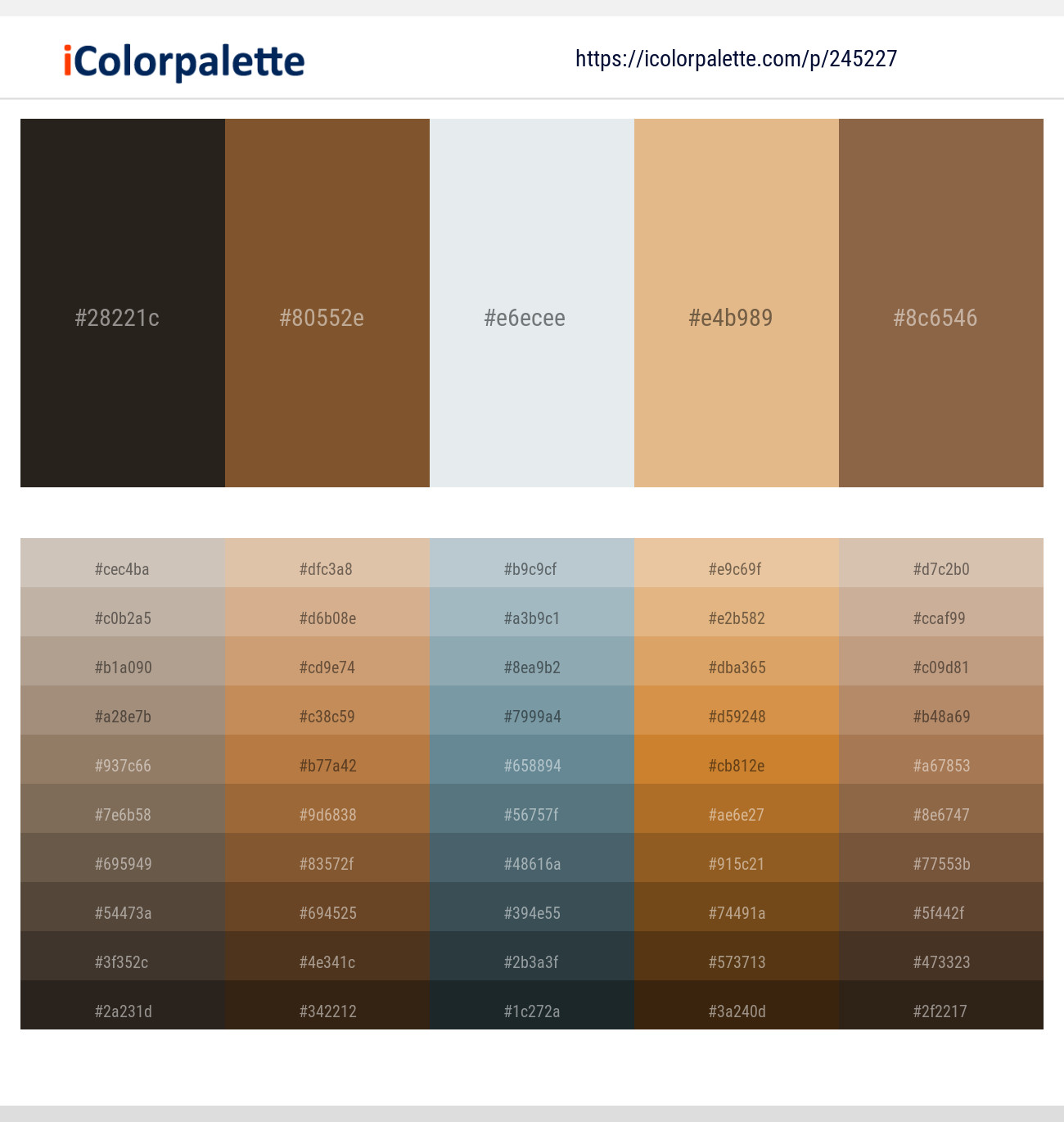 900+ Latest Color Schemes with Nutmeg Color tone combinations | 2023 ...