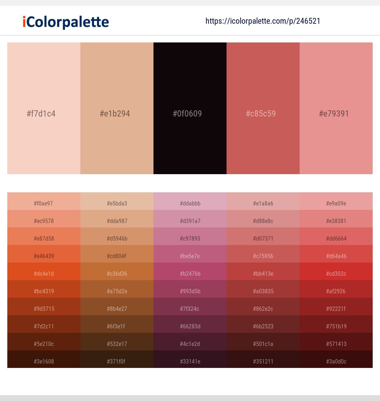 Mandys Pink – Calico – Night Rider – Fuzzy Wuzzy Brown – Tonys Pink ...