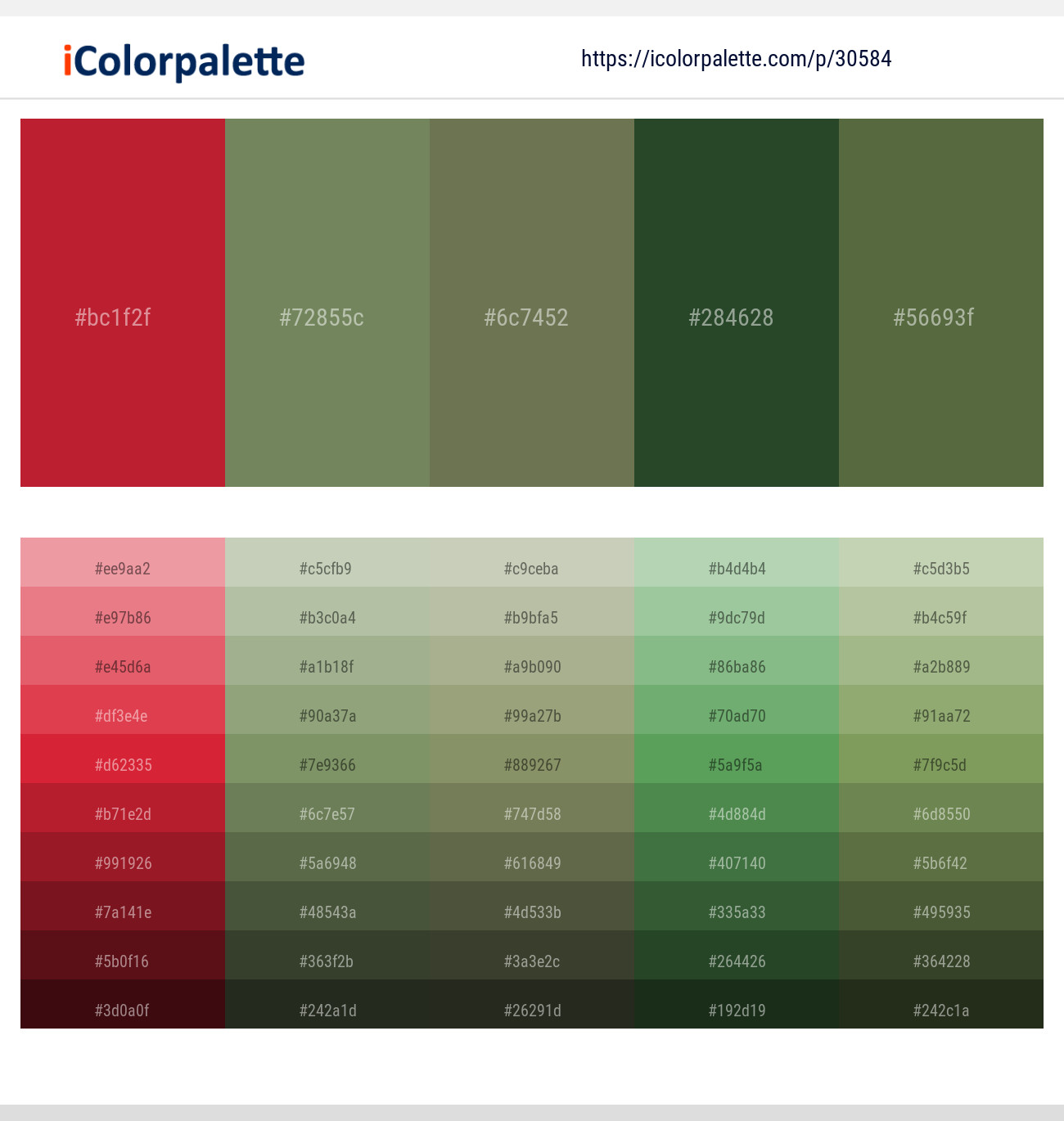 4 Latest Color Schemes with Cardinal And Chalet Green Color tone ...