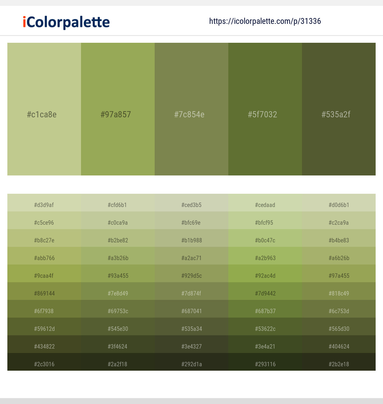 195745 Color Palettes | iColorpalette