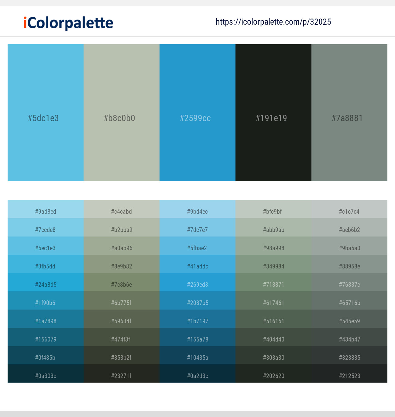 Heavy Metal Color Palette