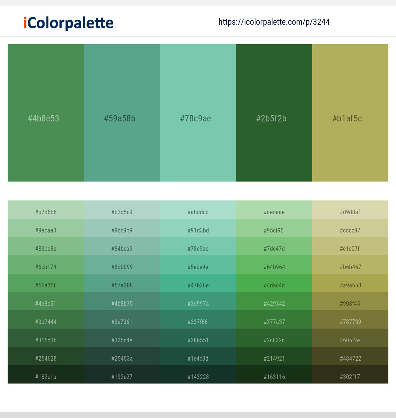1 Latest Color Schemes with Monte Carlo And Olive Green Color tone ...