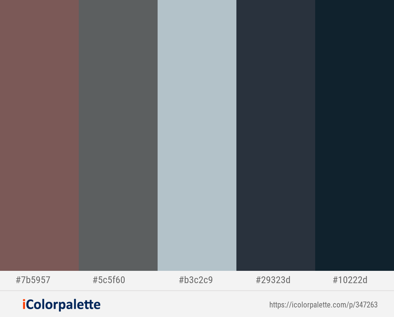 Hand Picked Best Color Palettes Collection