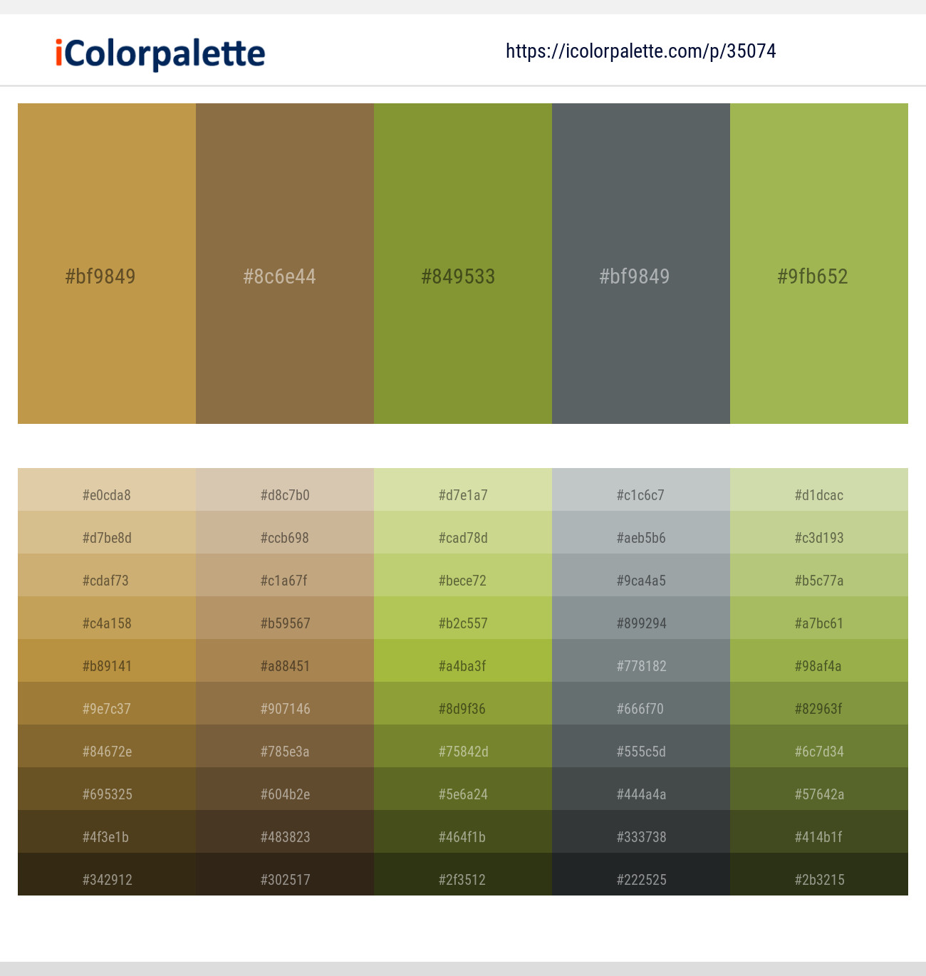 3 Latest Color Schemes with Spicy Mix And Olive Green Color tone ...