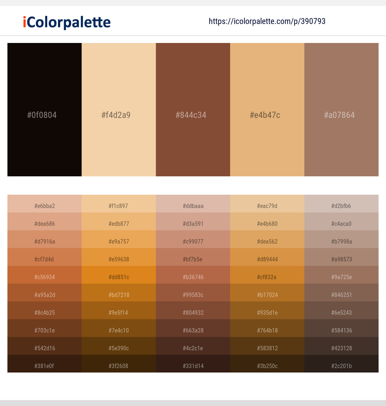 16 Brown Color Palettes | Curated collection of Color Palettes
