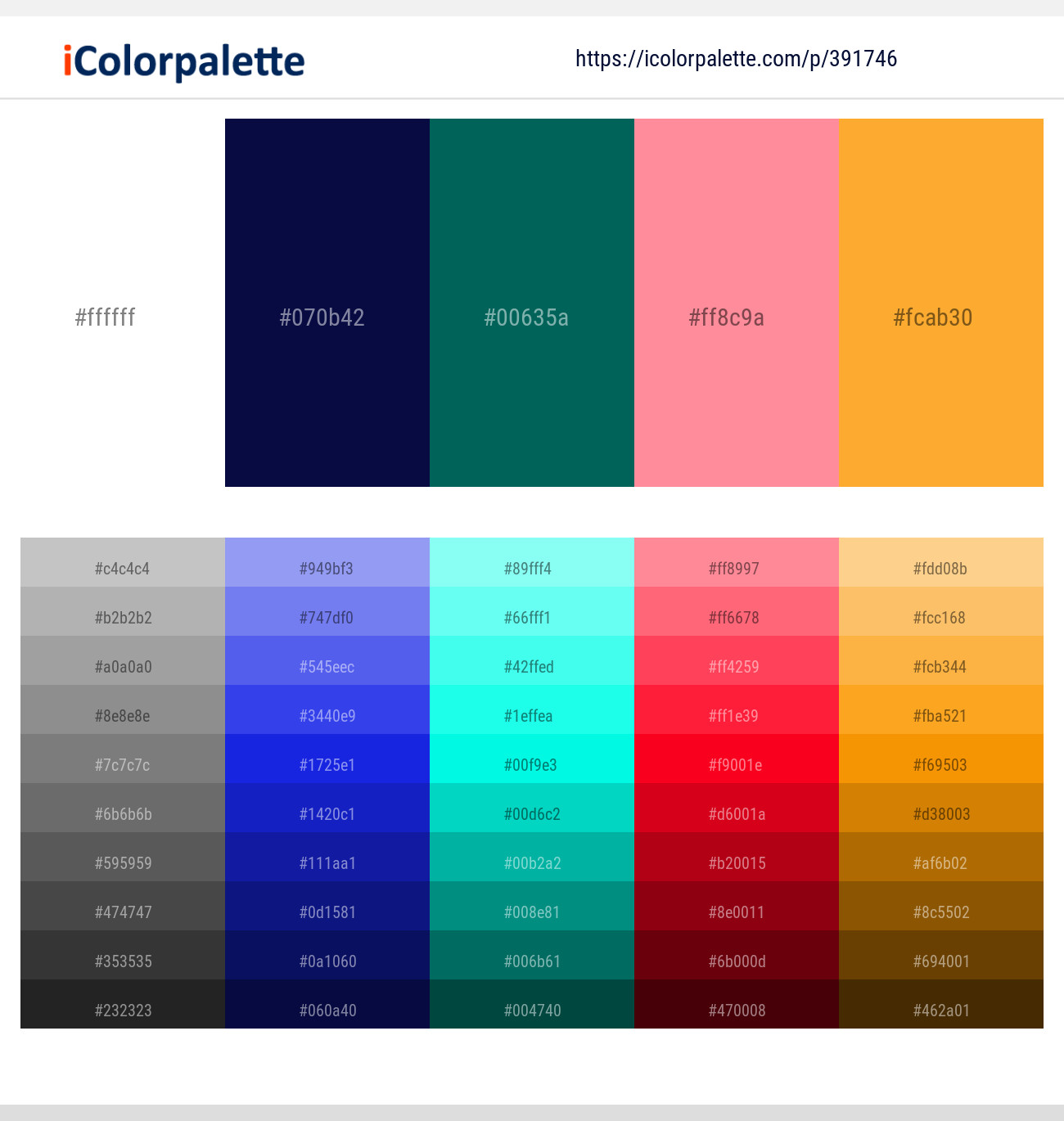 52+ White And Orange Color Palettes & Gradient Ideas | iColorPalette