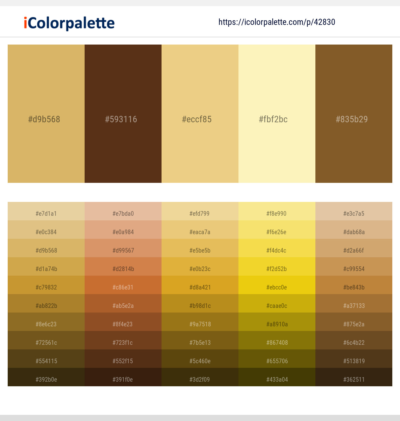 1 Latest Color Schemes With Apache And Flax Color Tone Combinations