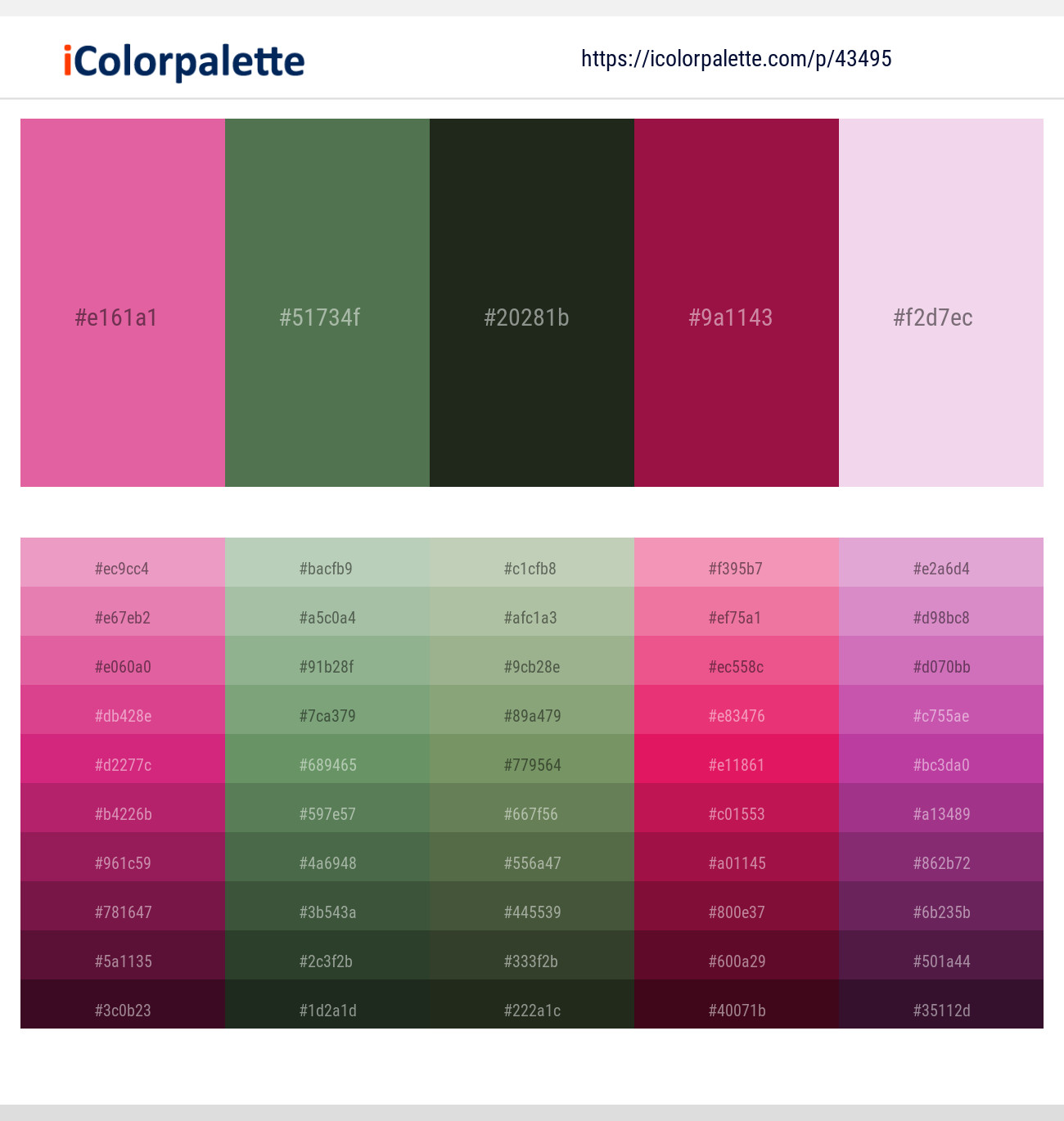 1 Latest Color Schemes with Disco And Amour Color tone combinations ...