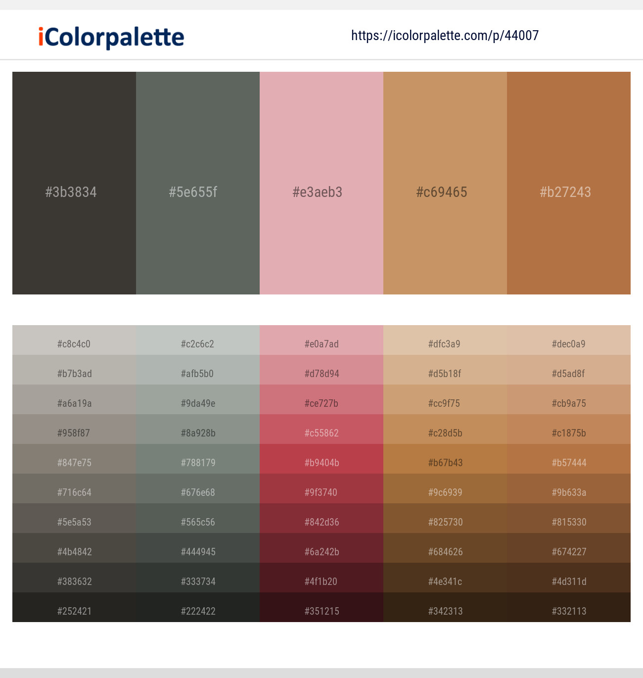 1 Latest Color Schemes with Rose Fog And Antique Brass Color tone ...