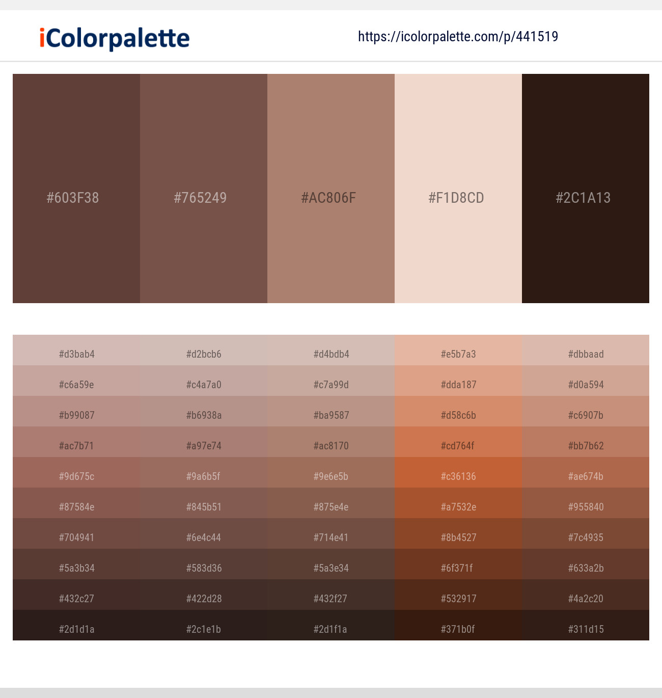 710+ Latest Color Schemes with Almond Color tone combinations | 2022 ...