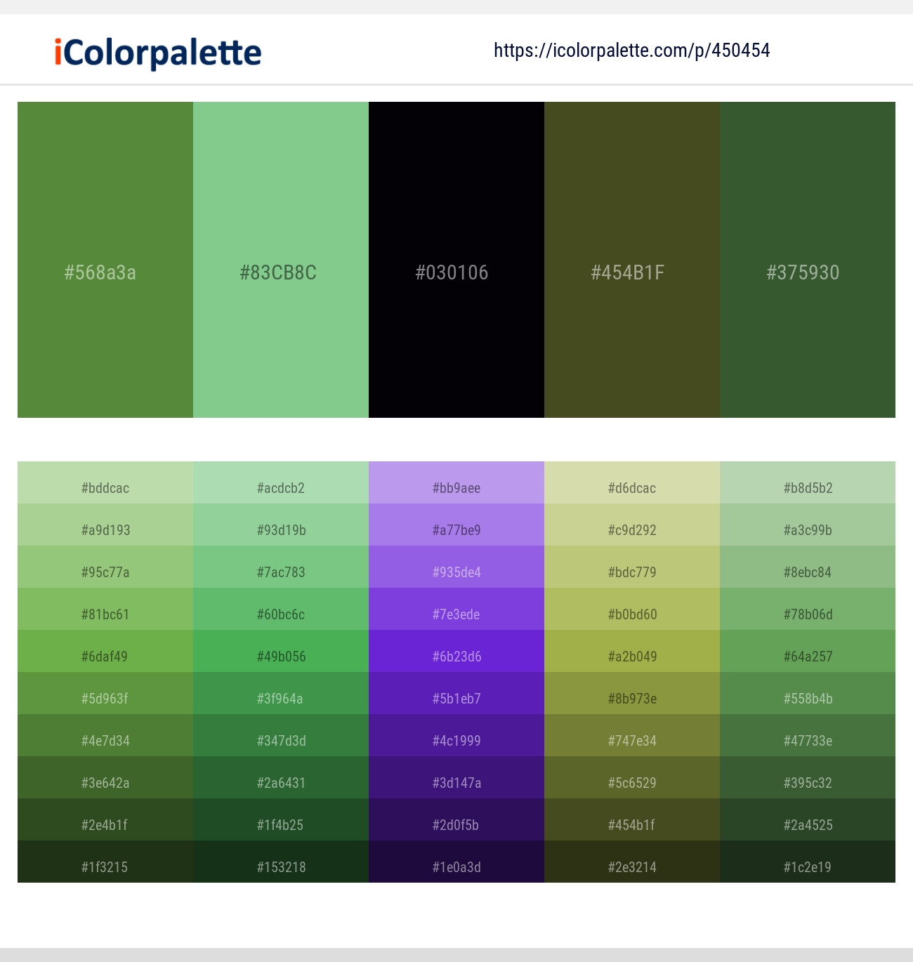 117+ Jaguar Color Palettes & Gradient Ideas | iColorPalette
