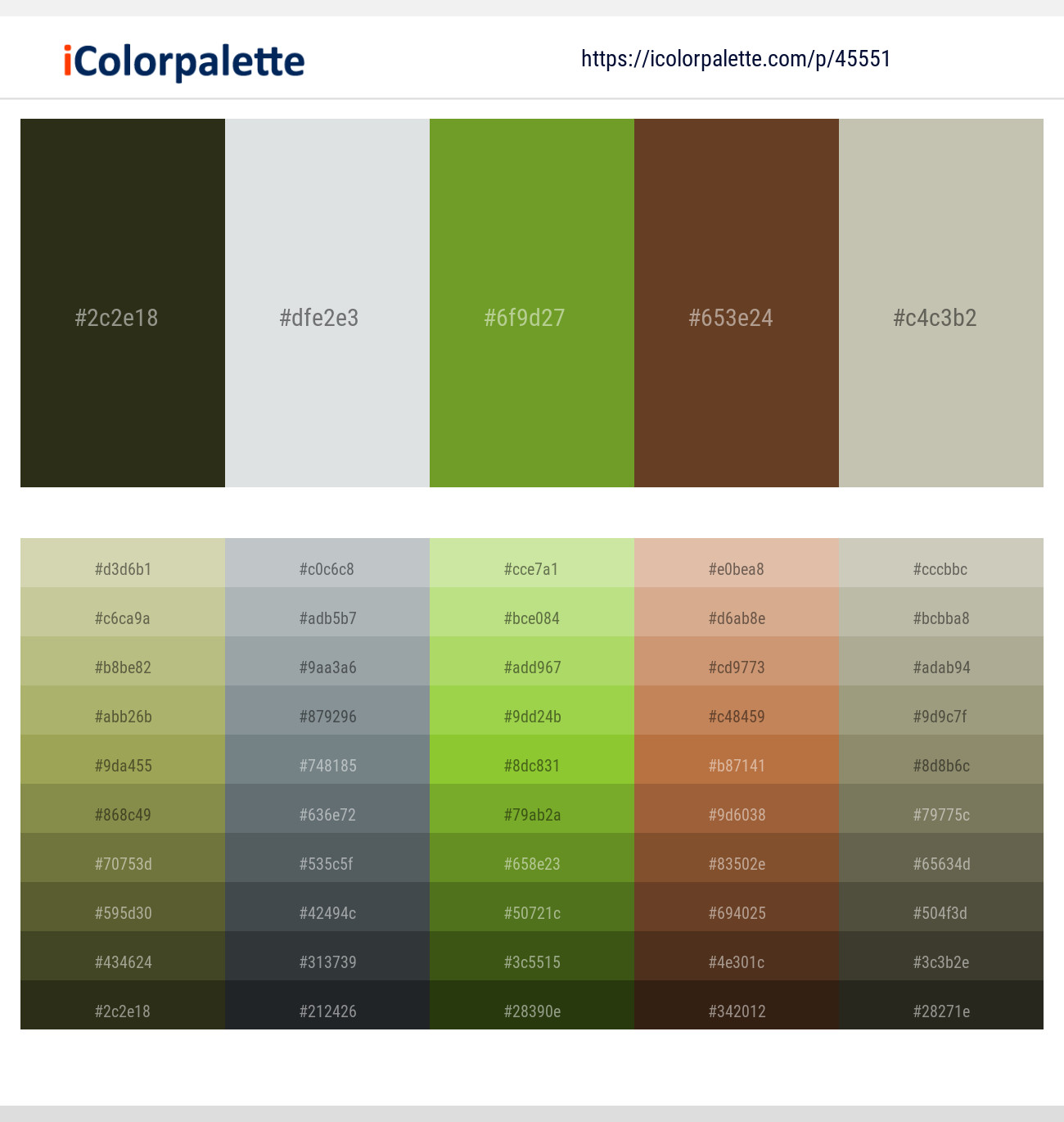 3 Latest Color Schemes with Iron And Ash Color tone combinations | 2023 ...