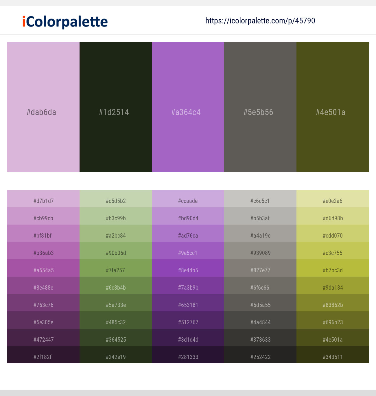 1+ Hunter Green And Chicago Color Palettes & Gradient Ideas | iColorPalette
