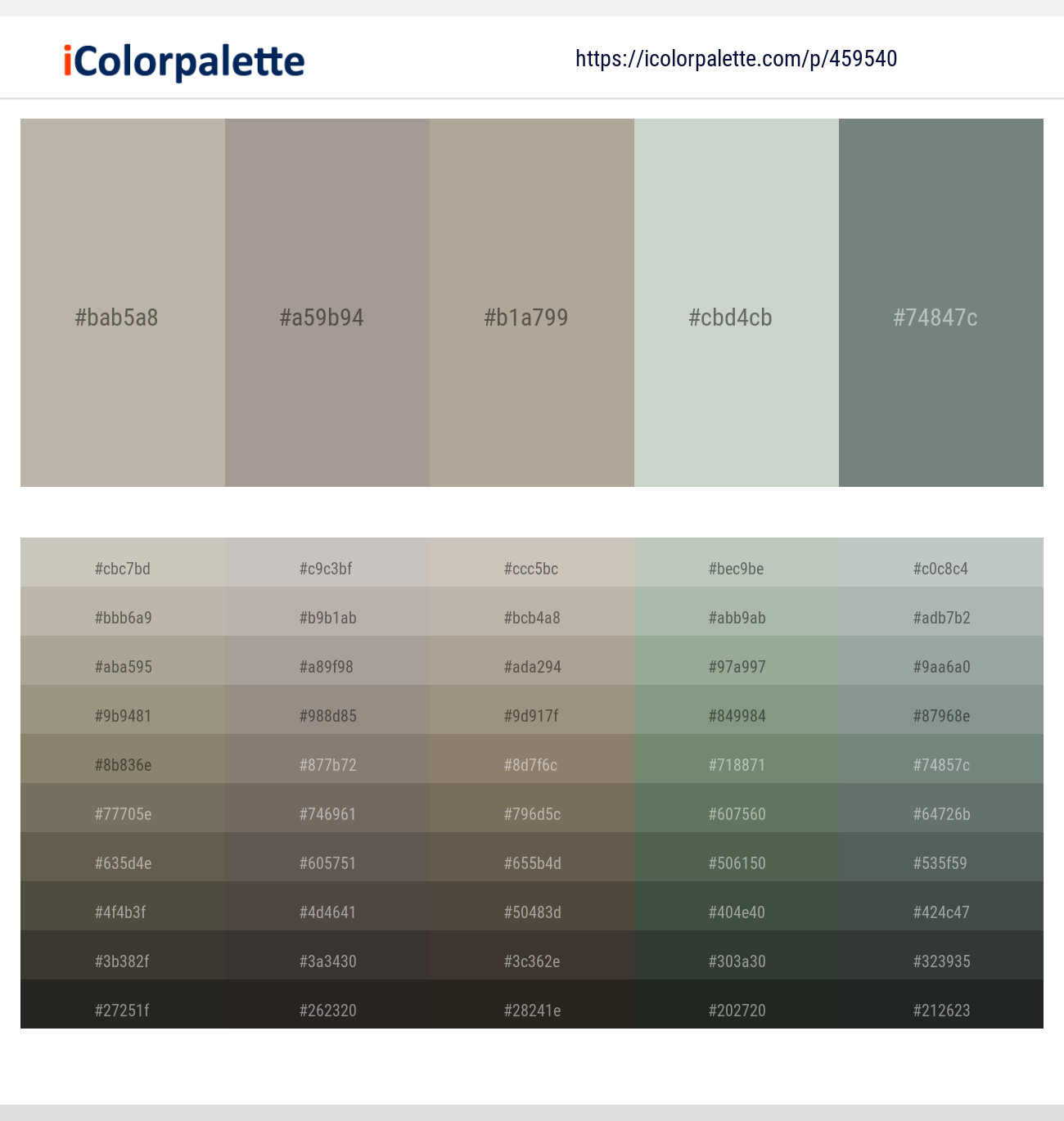 590+ Latest Color Schemes with Napa Color tone combinations | 2023 ...