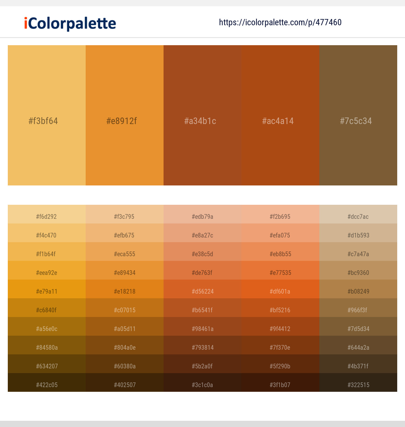 330+ Latest Color Schemes with Cognac Color tone combinations | 2023 ...