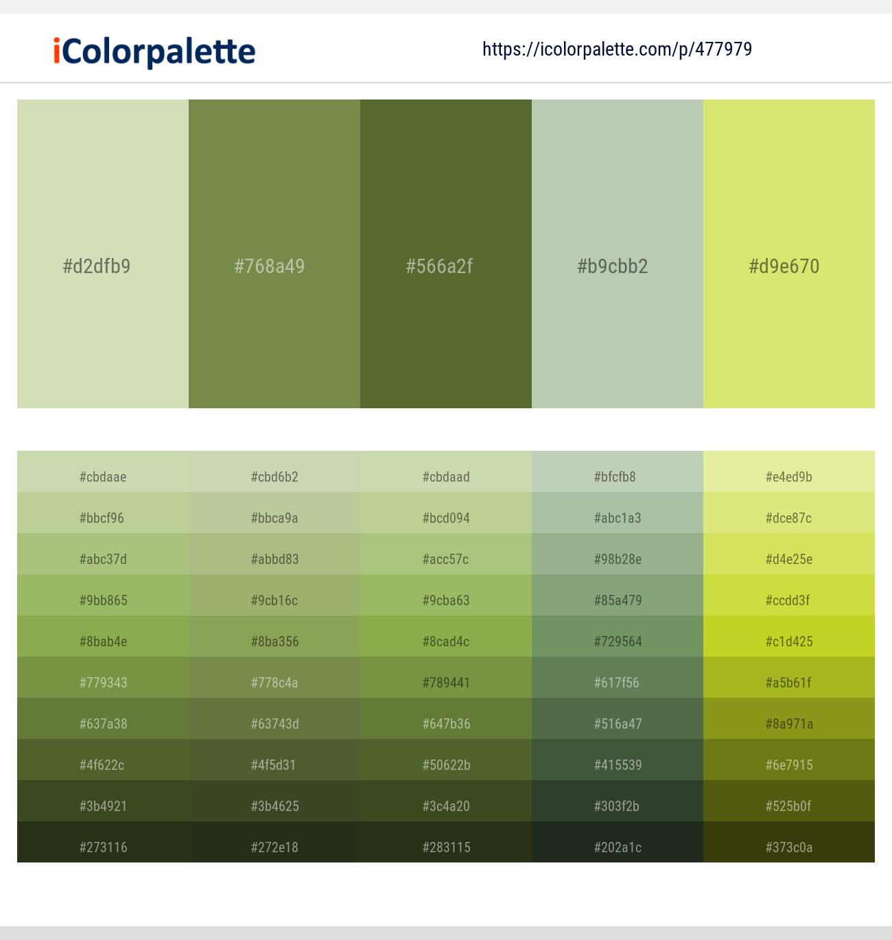 310+ Latest Color Schemes with Rainee Color tone combinations | 2021 ...