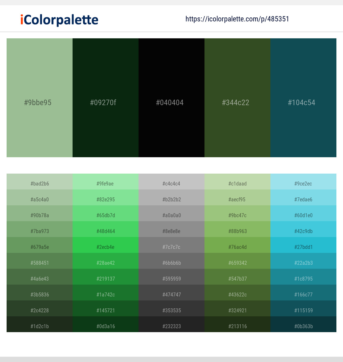 410+ Latest Color Schemes with Eden Color tone combinations | 2023 ...