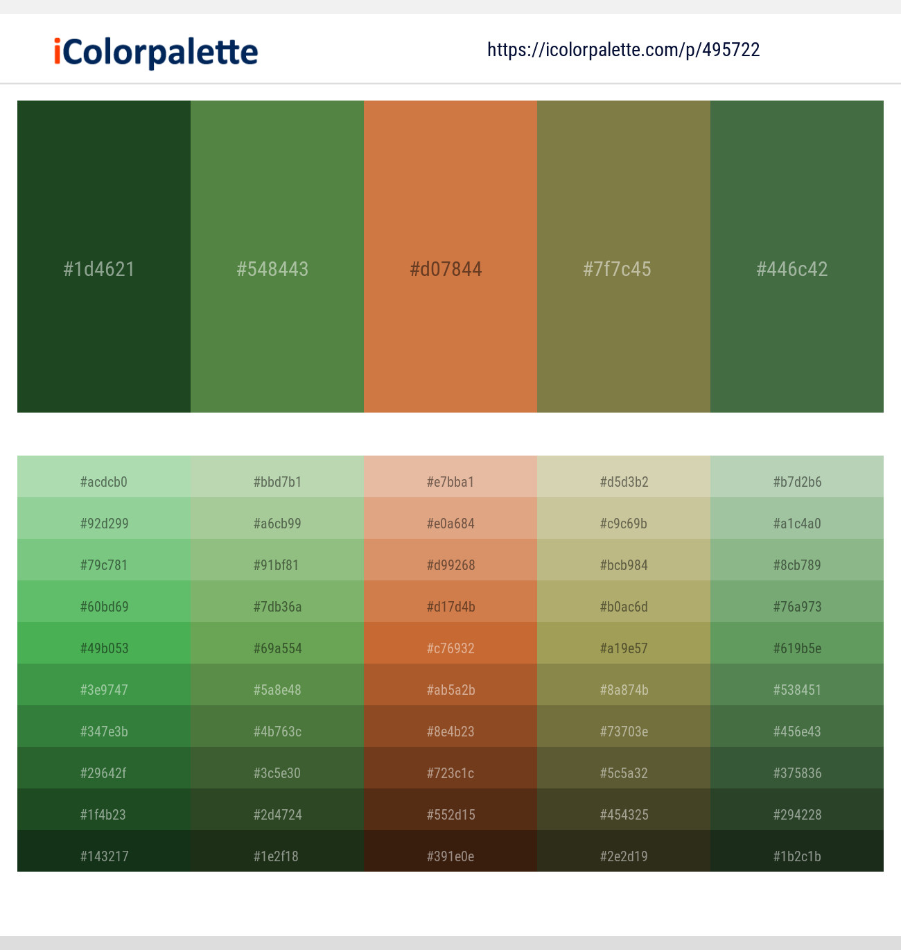 Everglade – Fern Green – Raw Sienna – Shadow – Fern Green Color scheme ...