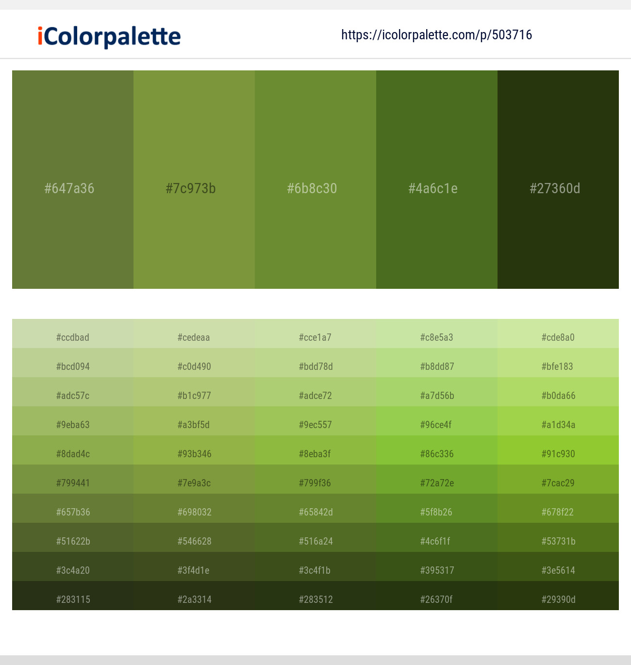 3080+ Latest Color Schemes with Sycamore Color tone combinations | 2022 ...