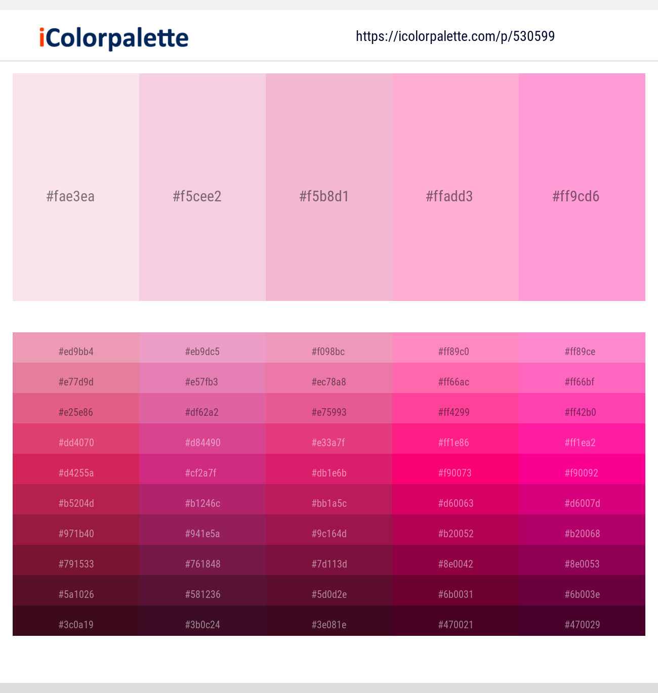200+ Latest Color Schemes with Cherub Color tone combinations | 2025 ...