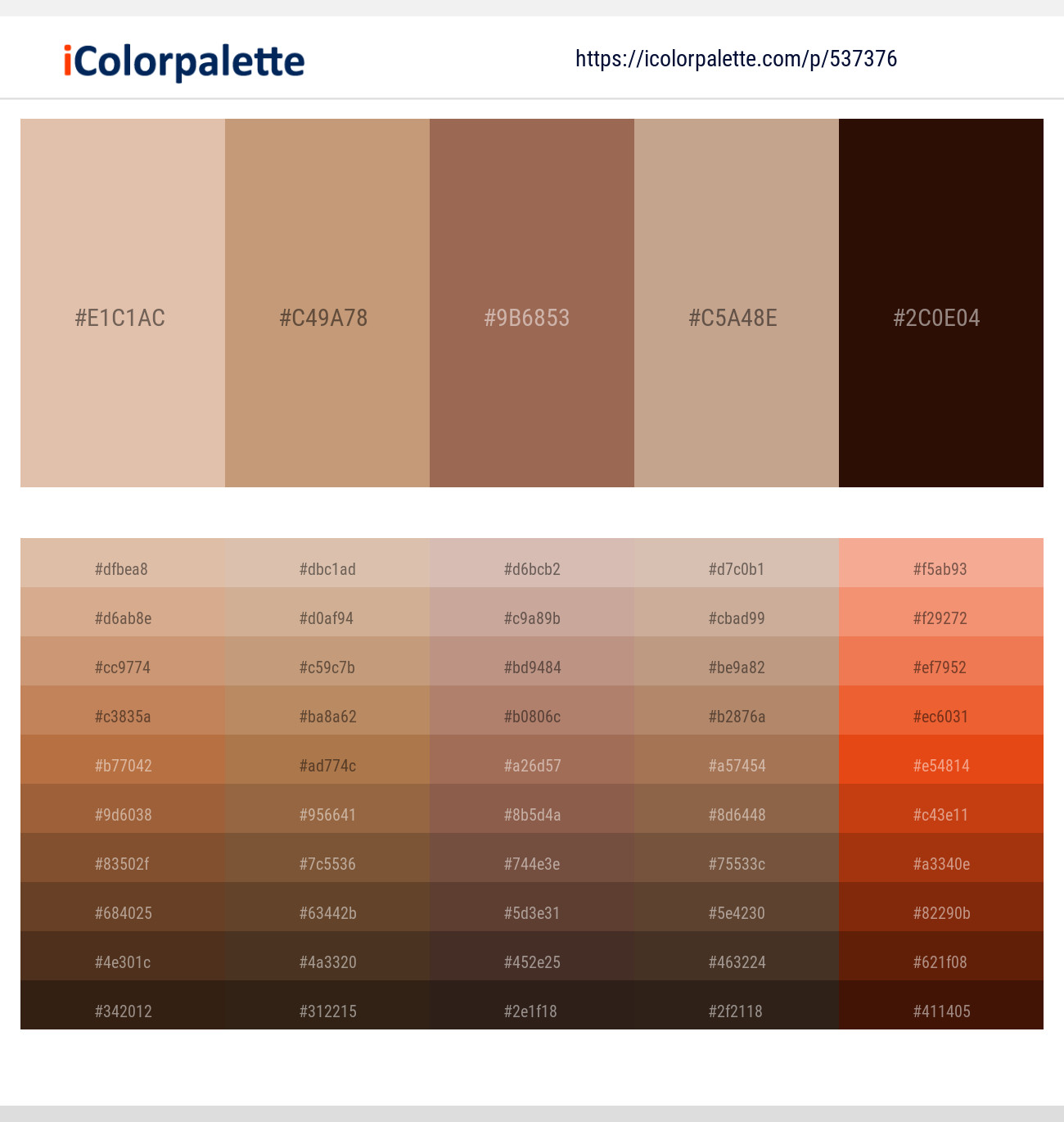 290+ Tan And Maroon Color Palettes & Gradient Ideas | iColorPalette