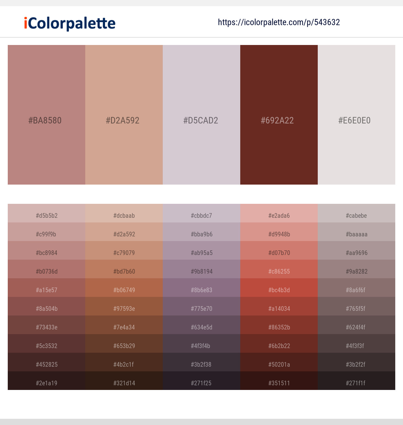480+ Latest Color Schemes with Metallic Copper Color tone combinations ...