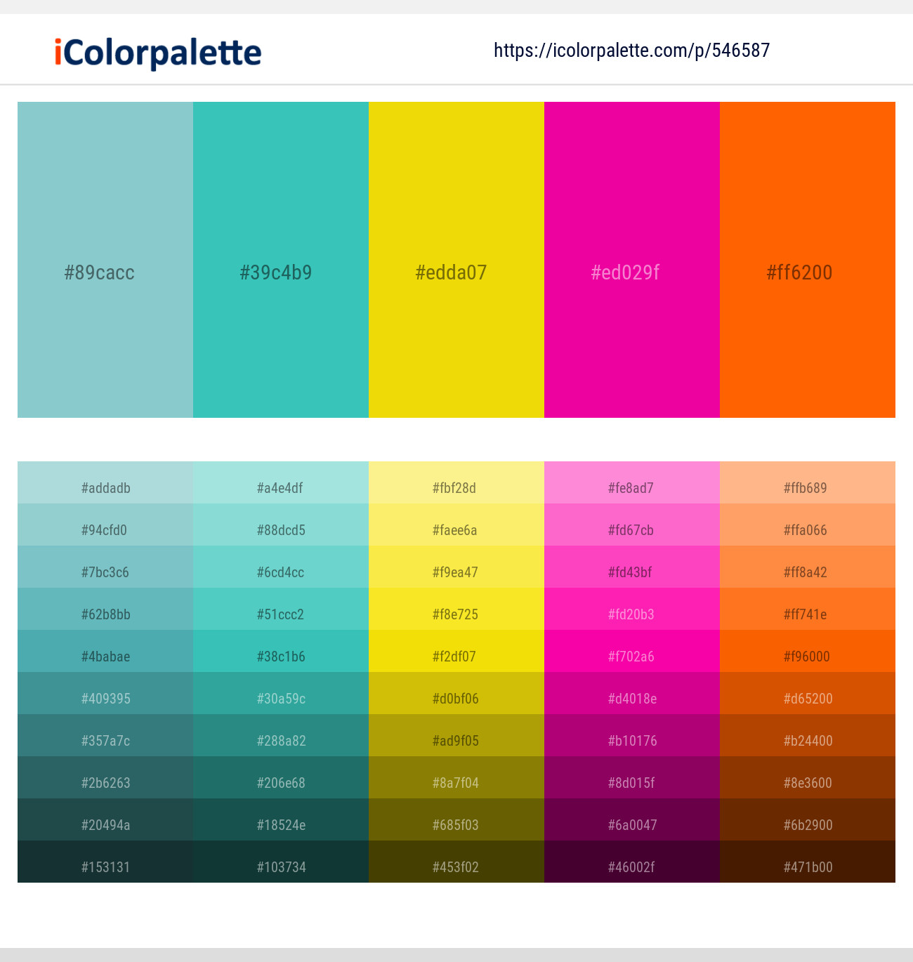 360 Latest Color Schemes With Puerto Rico Color Tone Combinations