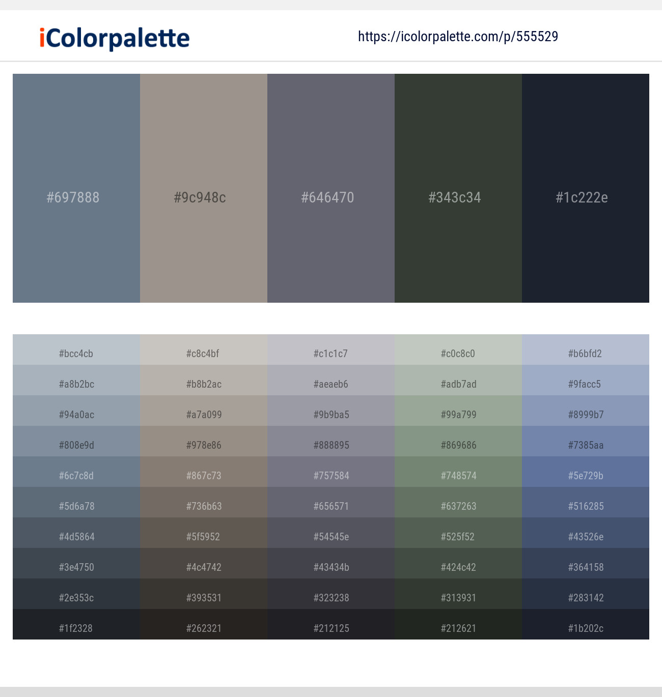 1040+ Latest Color Schemes with Mid Gray Color tone combinations | 2024 ...