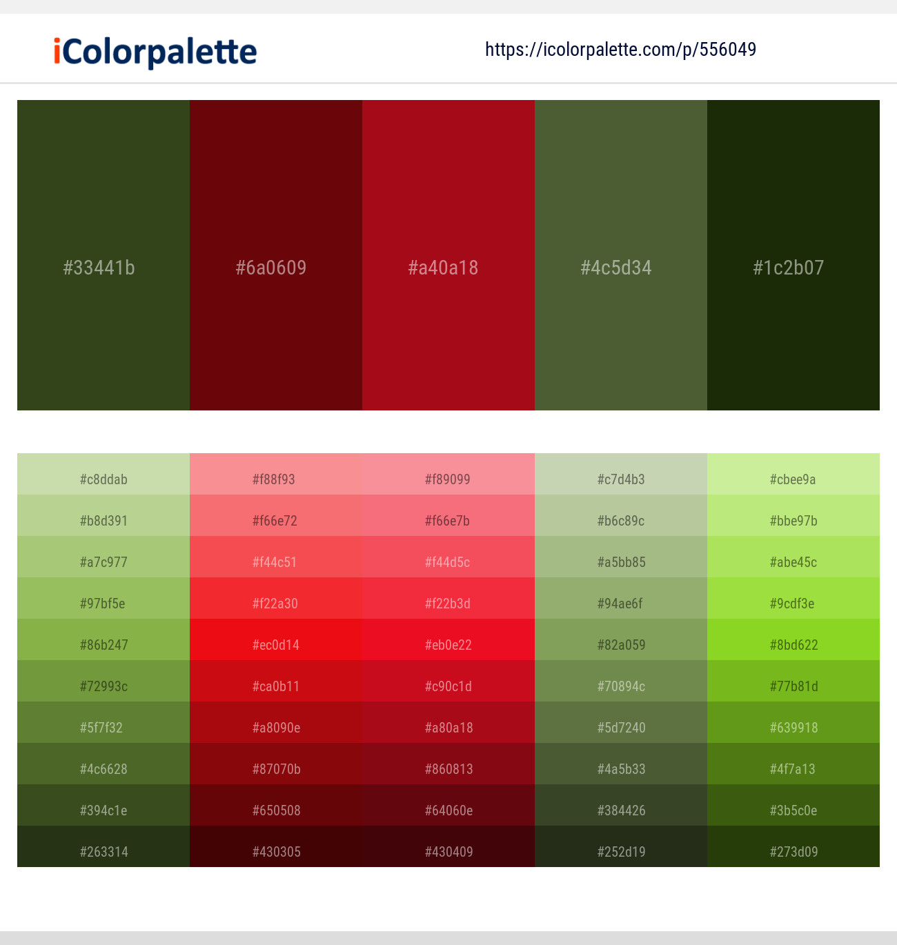 1010+ Latest Color Schemes with Deep Forest Green Color tone ...