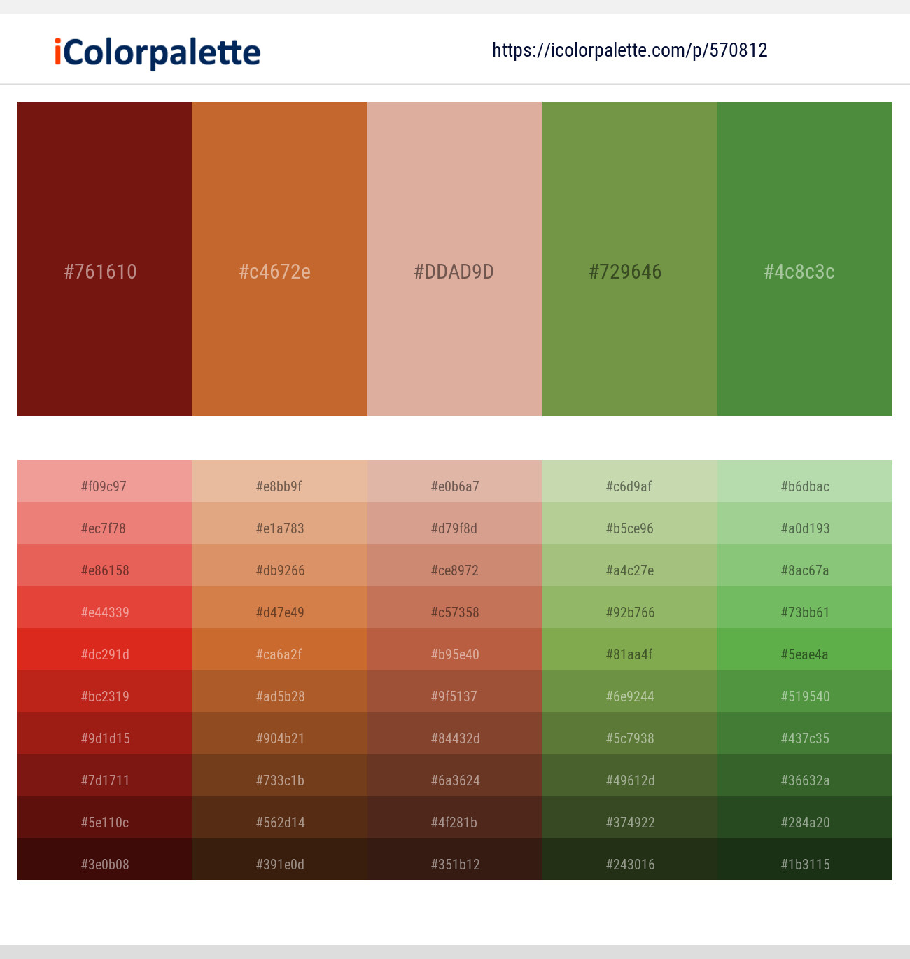720+ Latest Color Schemes with Tuscany Color tone combinations | 2024 ...