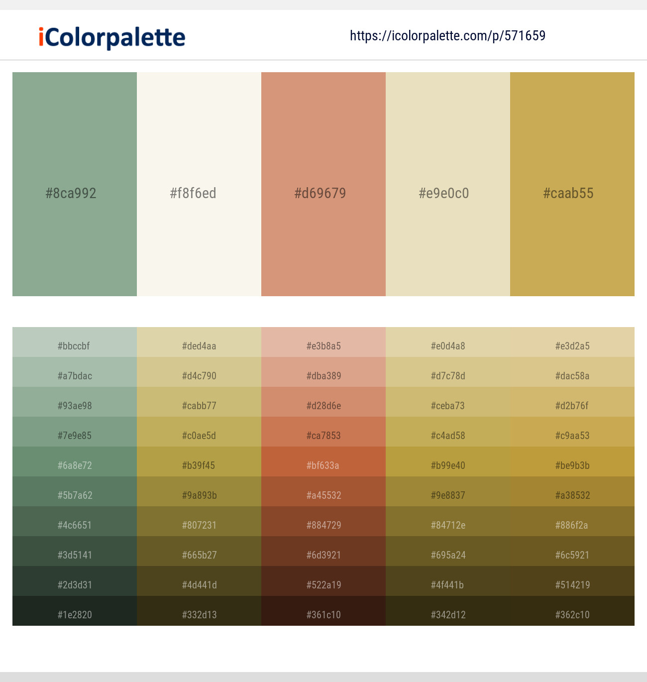 Envy – Ecru White – Burning Sand – Double Spanish White – Sundance ...