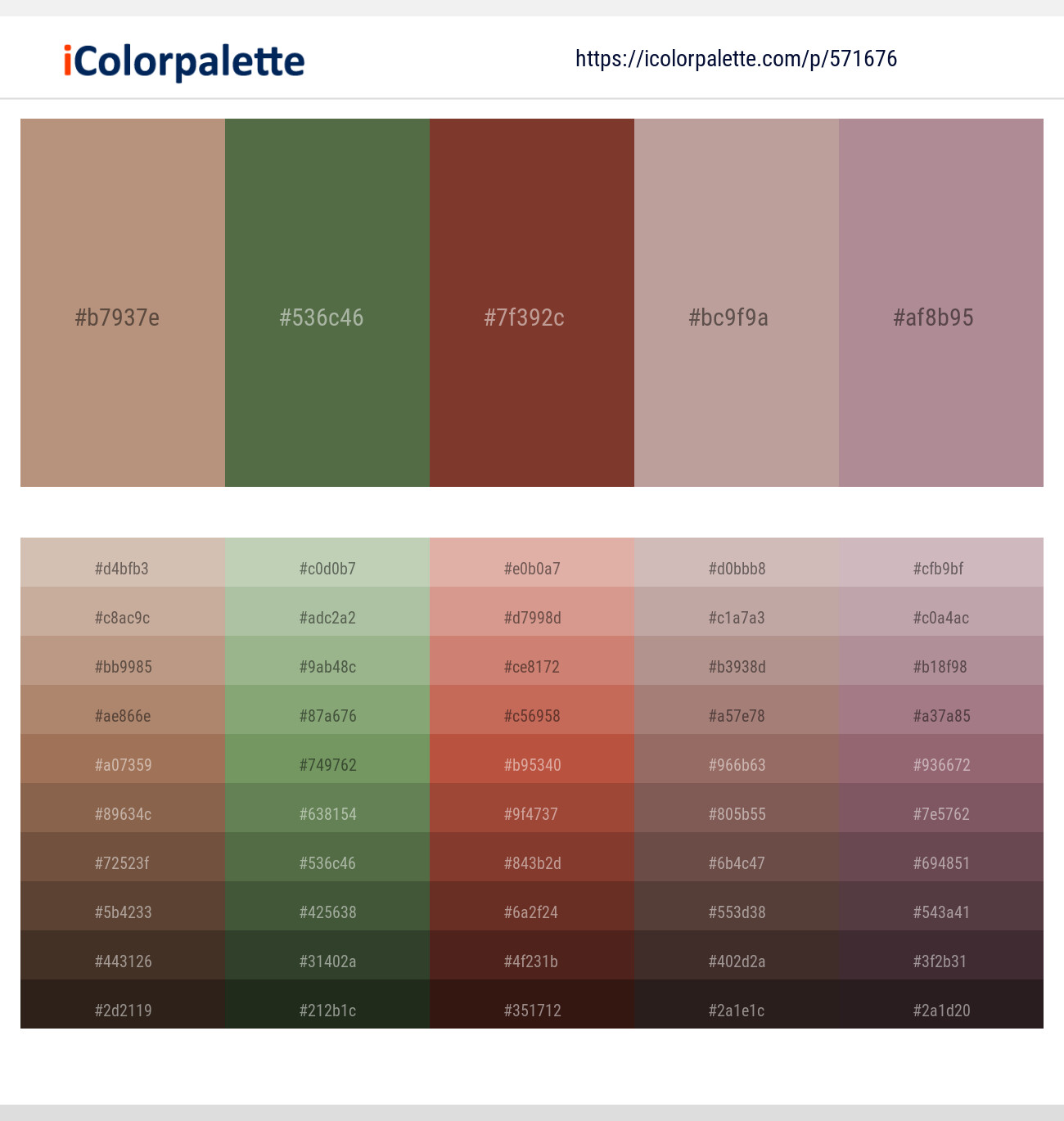 960+ Latest Color Schemes with Nutmeg Color tone combinations | 2024 ...