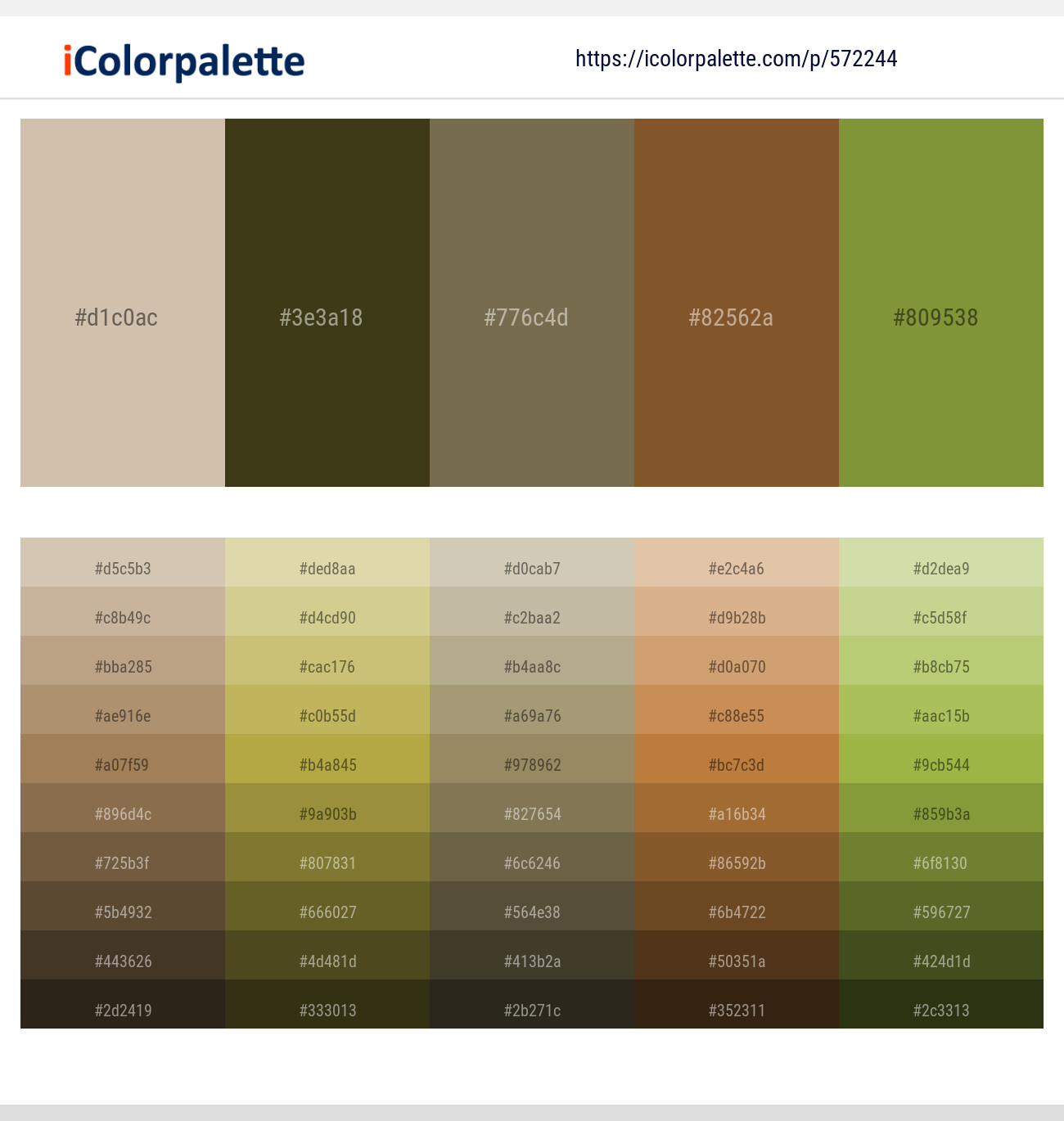 960+ Latest Color Schemes with Nutmeg Color tone combinations | 2024 ...
